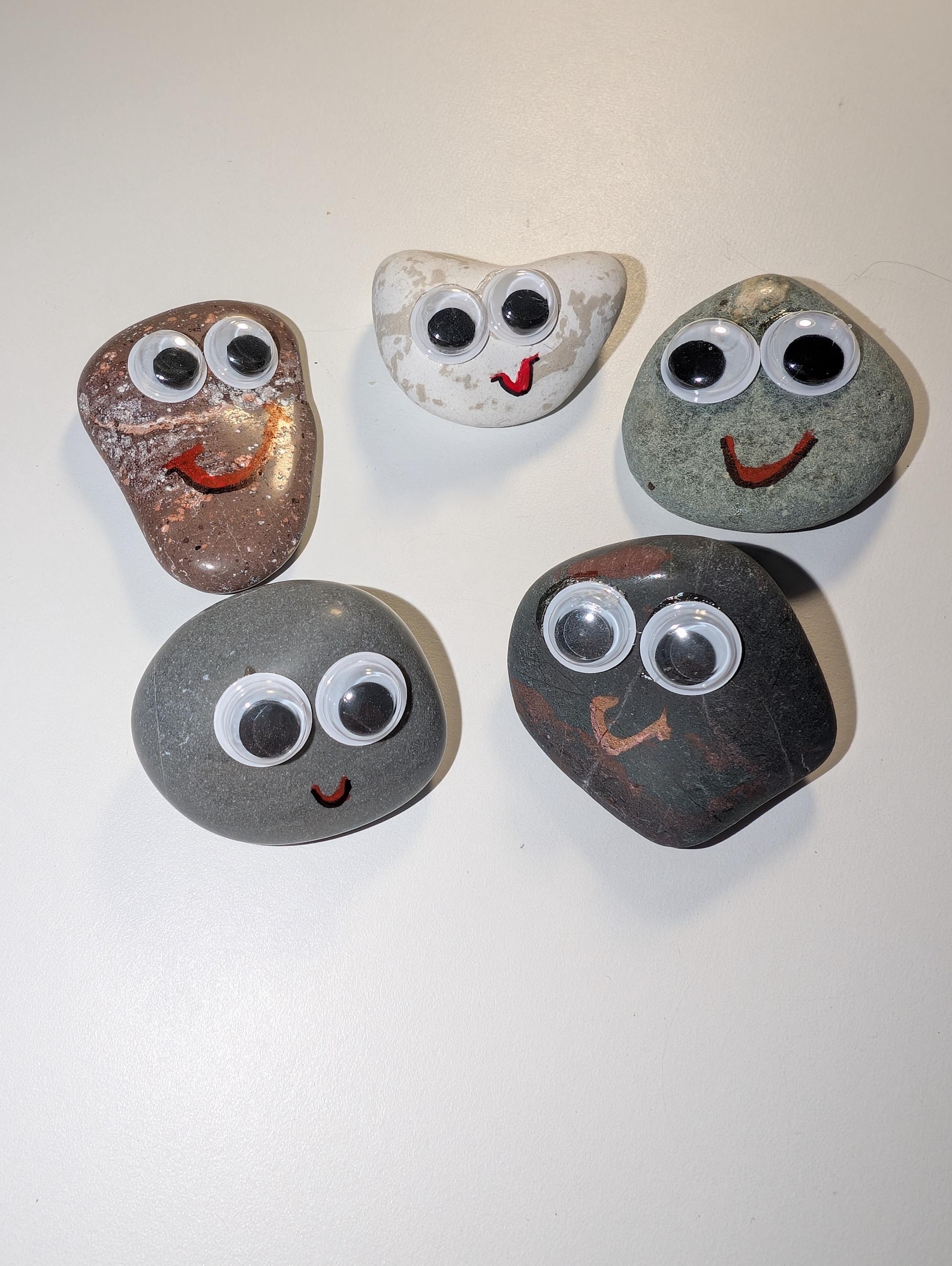 The Ultimate Stone Friend, Pet Rock, Rock Companion, Stone Buddy, Rock ...