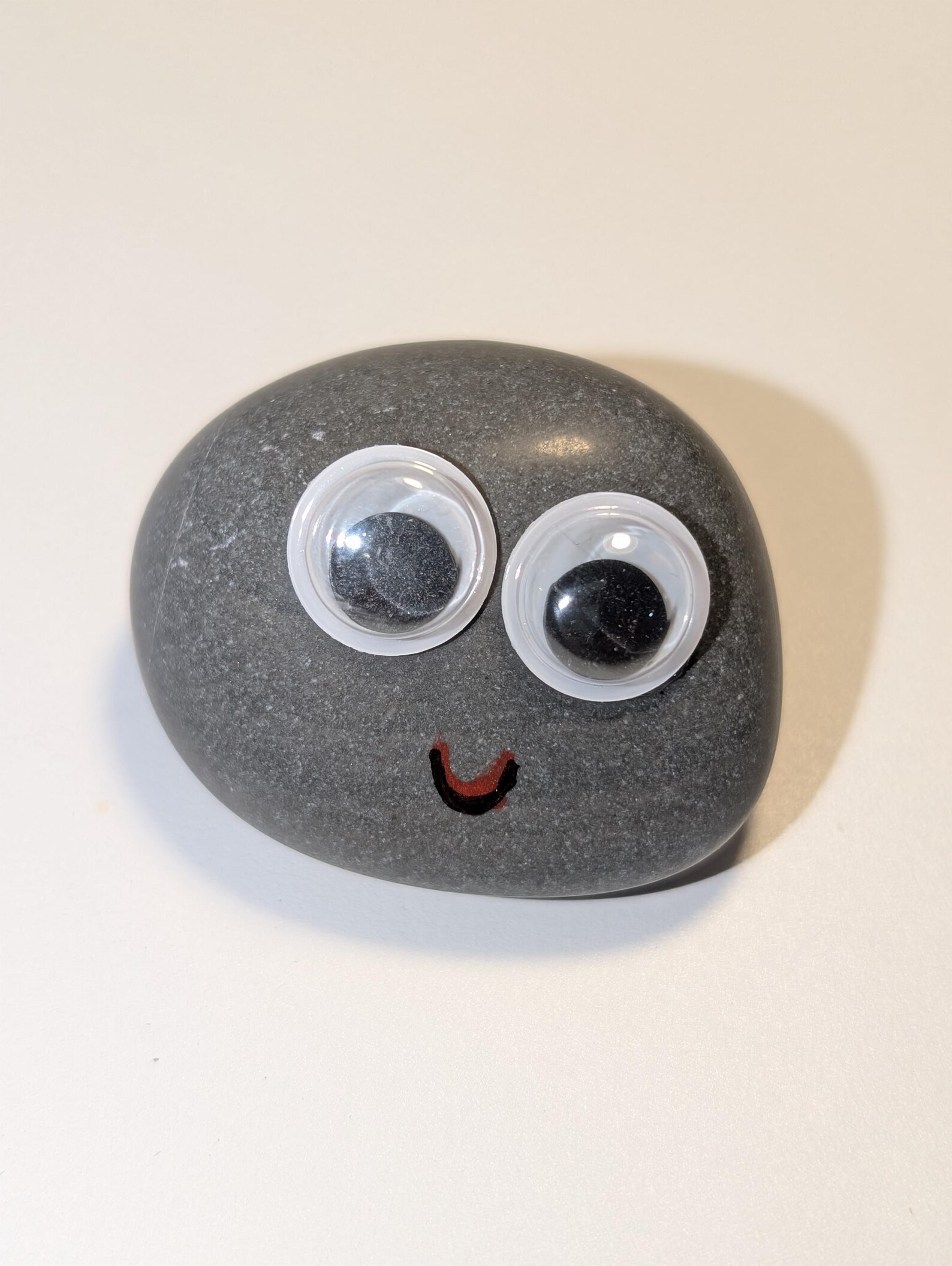 The Ultimate Stone Friend, Pet Rock, Rock Companion, Stone Buddy, Rock ...
