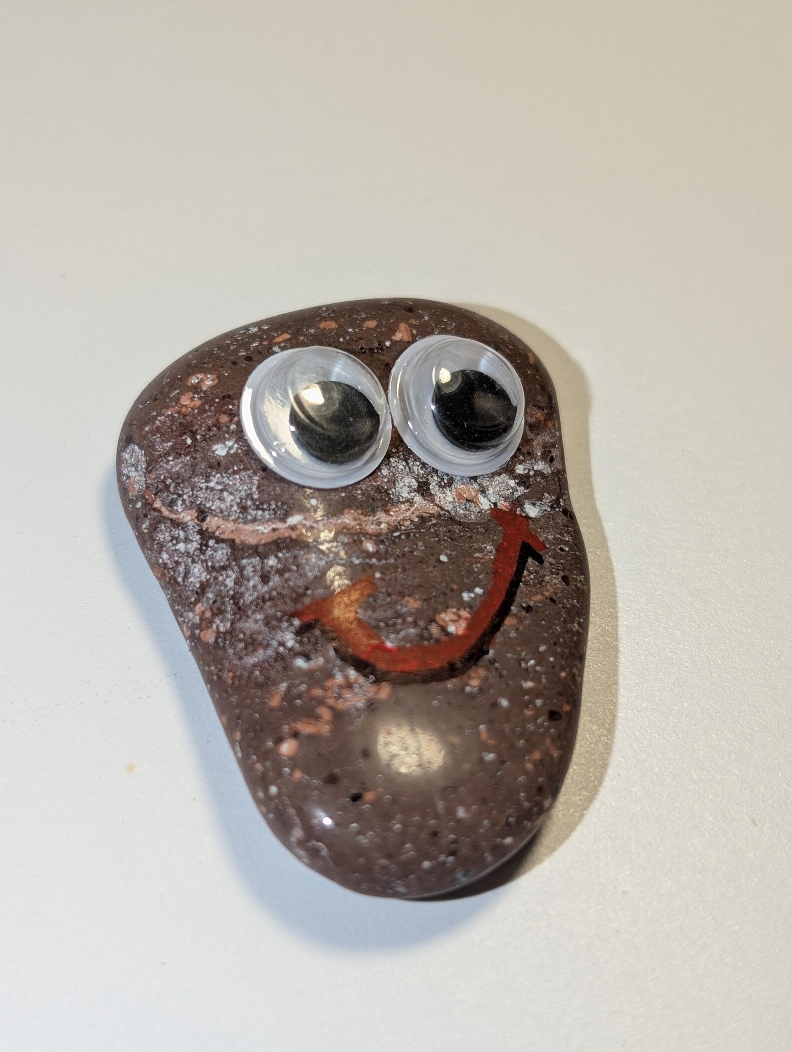 The Ultimate Stone Friend, Pet Rock, Rock Companion, Stone Buddy, Rock ...
