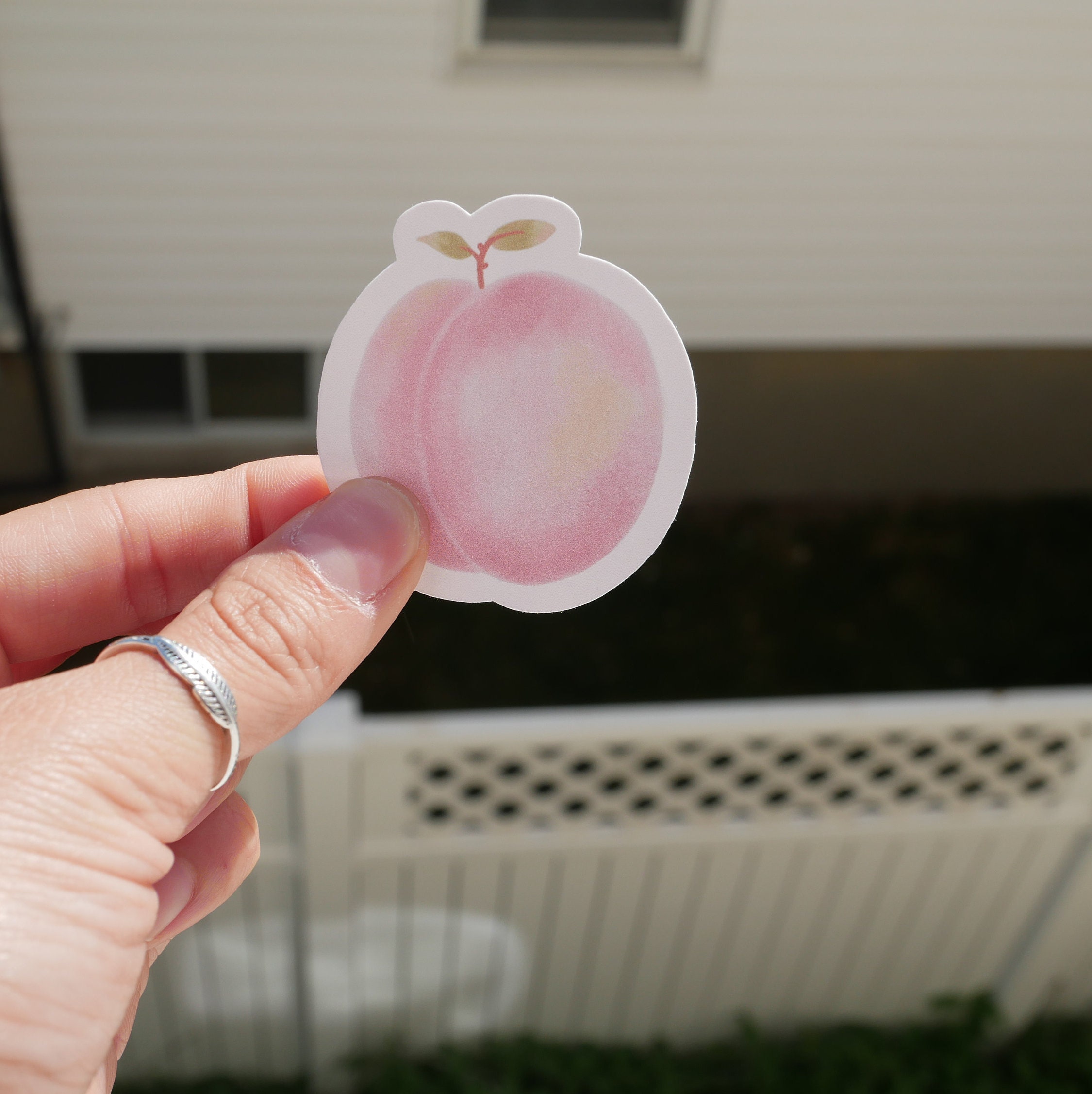 3 PCS Peach Sticker (matte, 2 Sizes): Cute Stickers for Planners ...
