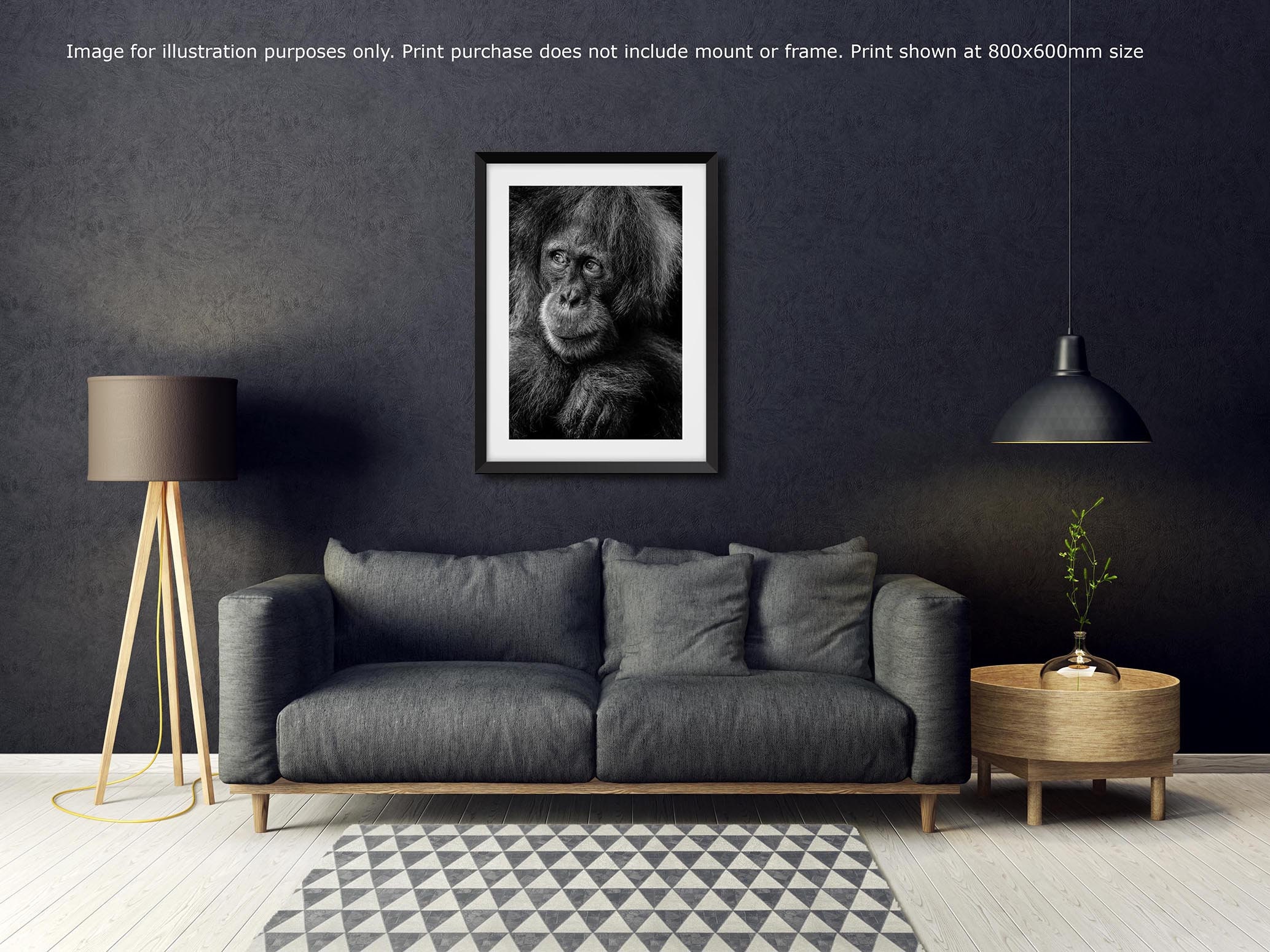 Pensive Ape. Orangutan Portrait, Borneo. Black and White Wildlife ...