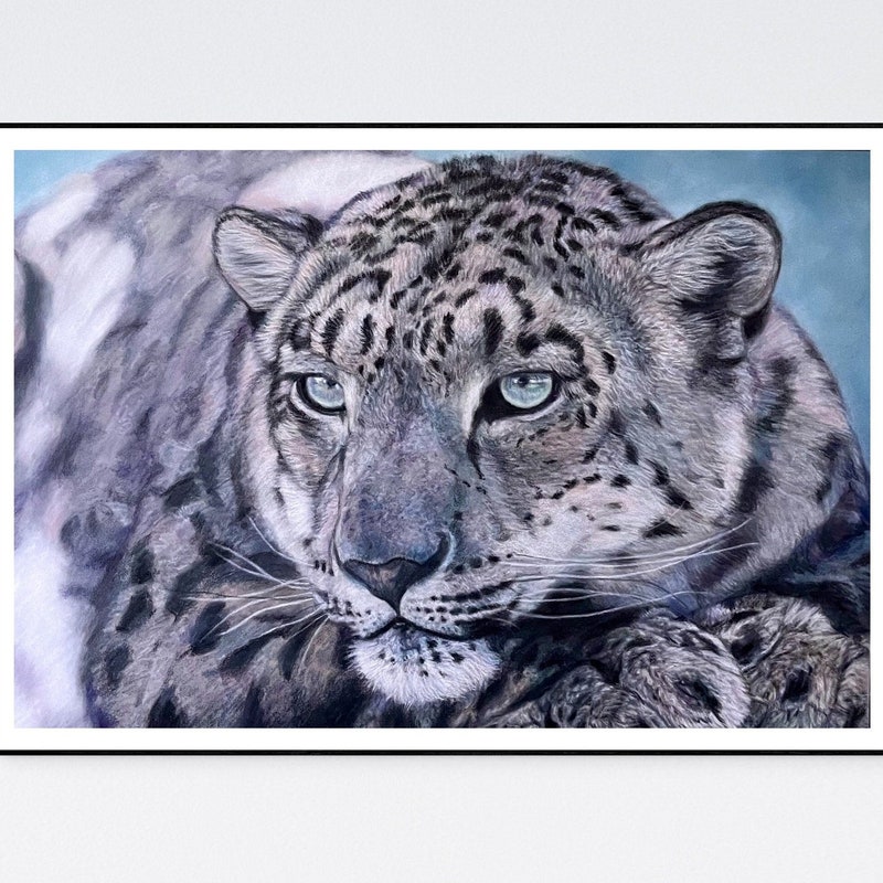 Snow Leopard Art - Etsy