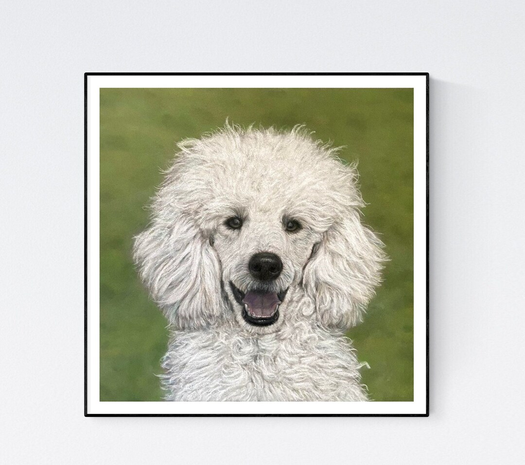 Poodle Print White Poodle Poodle Art Print Poodle Lover - Etsy