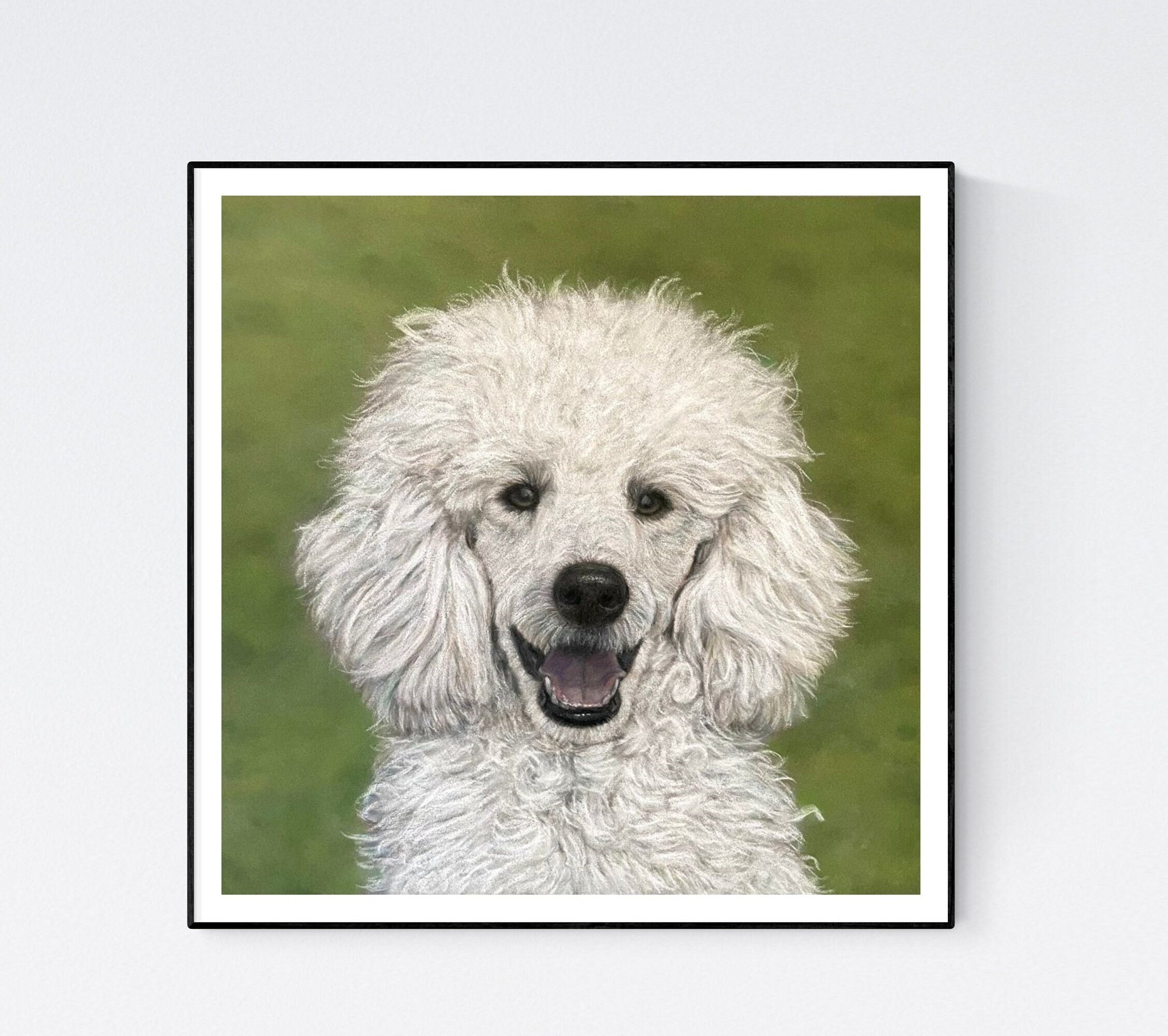 Poodle Print White Poodle Poodle Art Print Poodle Lover - Etsy