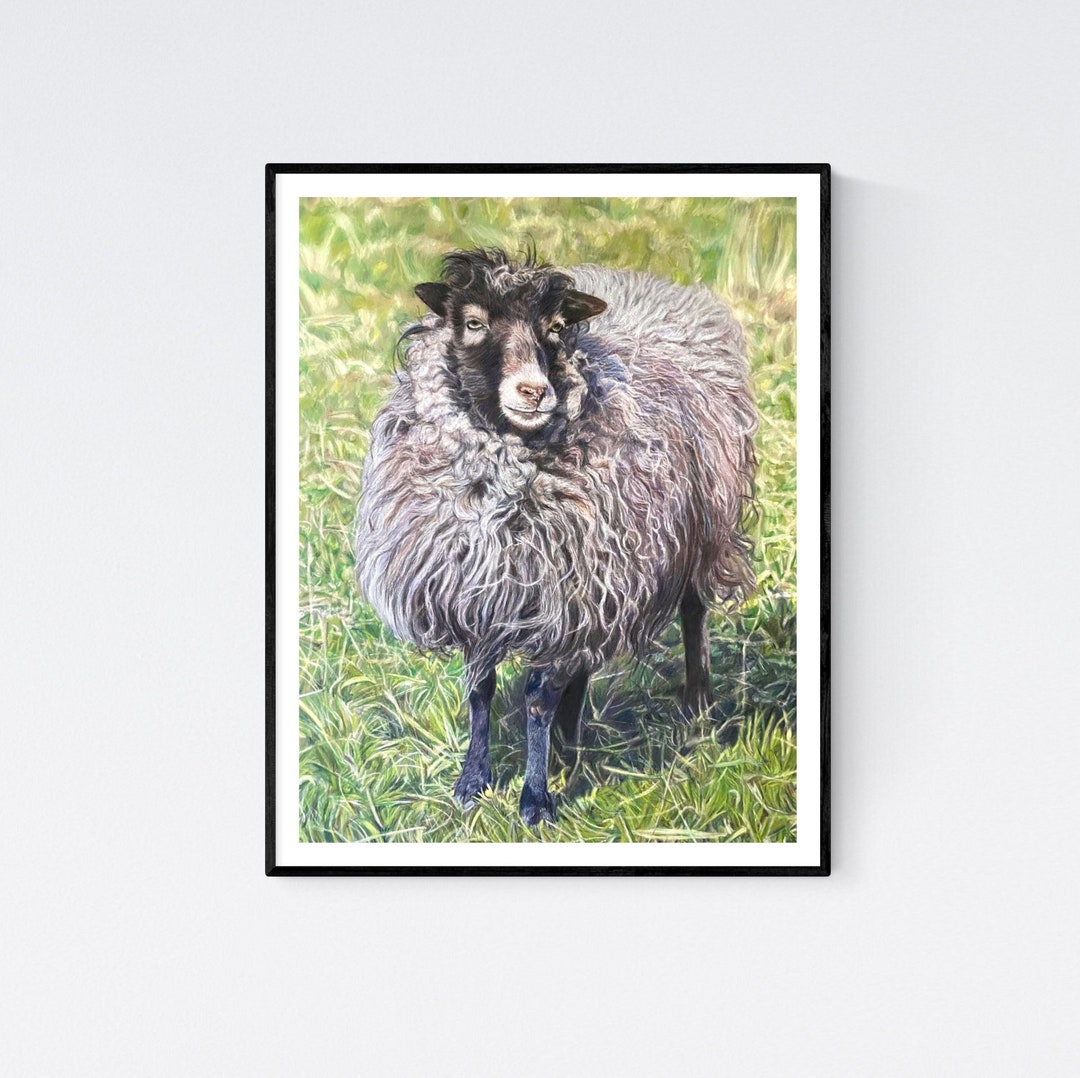 Sheep Art - Sheep Art Print - Sheep Wall Art - Farmhouse Art - Sheep ...