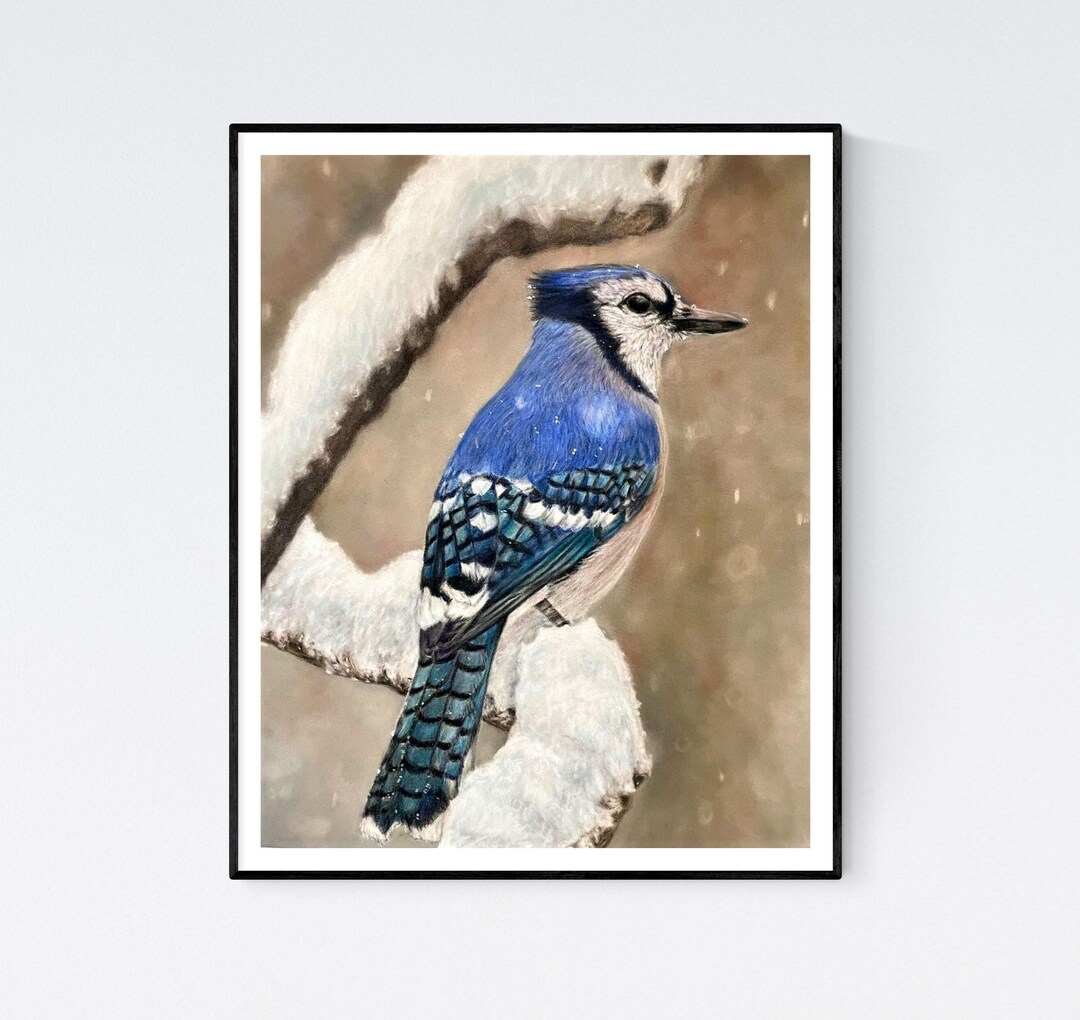 Blue Jay Print - Bird Wall Decor - Blue Jay Art - Blue Jay Gifts - Blue ...