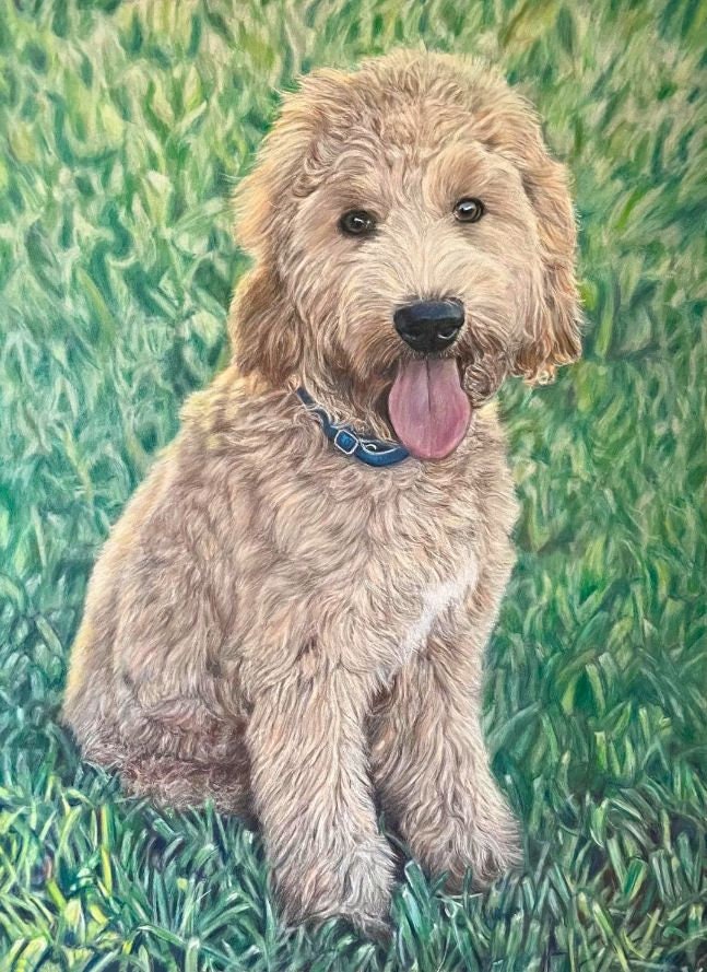 Goldendoodle Art - Goldendoodle Print - Goldendoodle Drawing ...