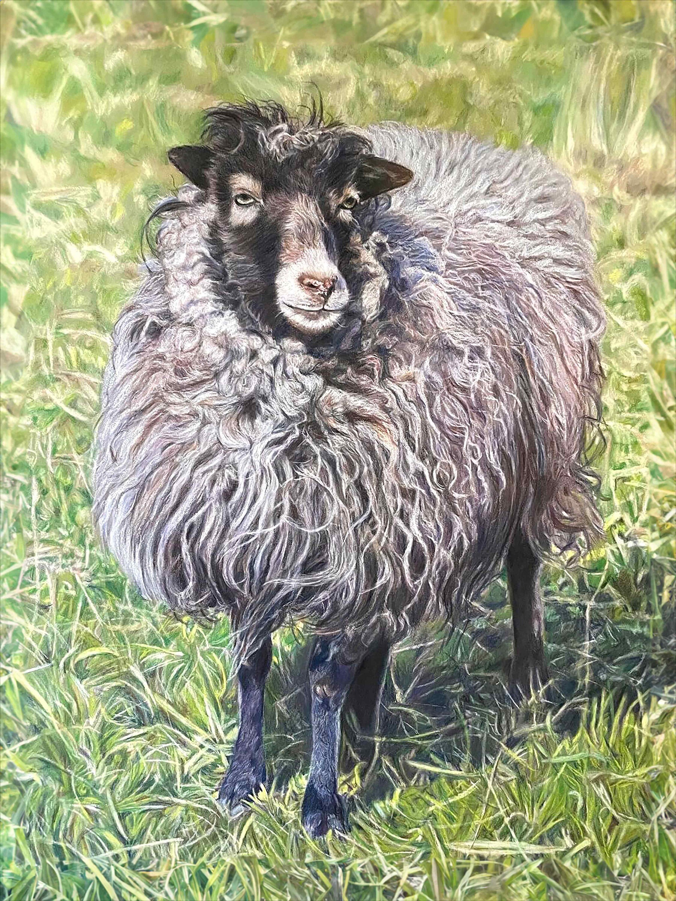 Sheep Art - Sheep Art Print - Sheep Wall Art - Farmhouse Art - Sheep ...