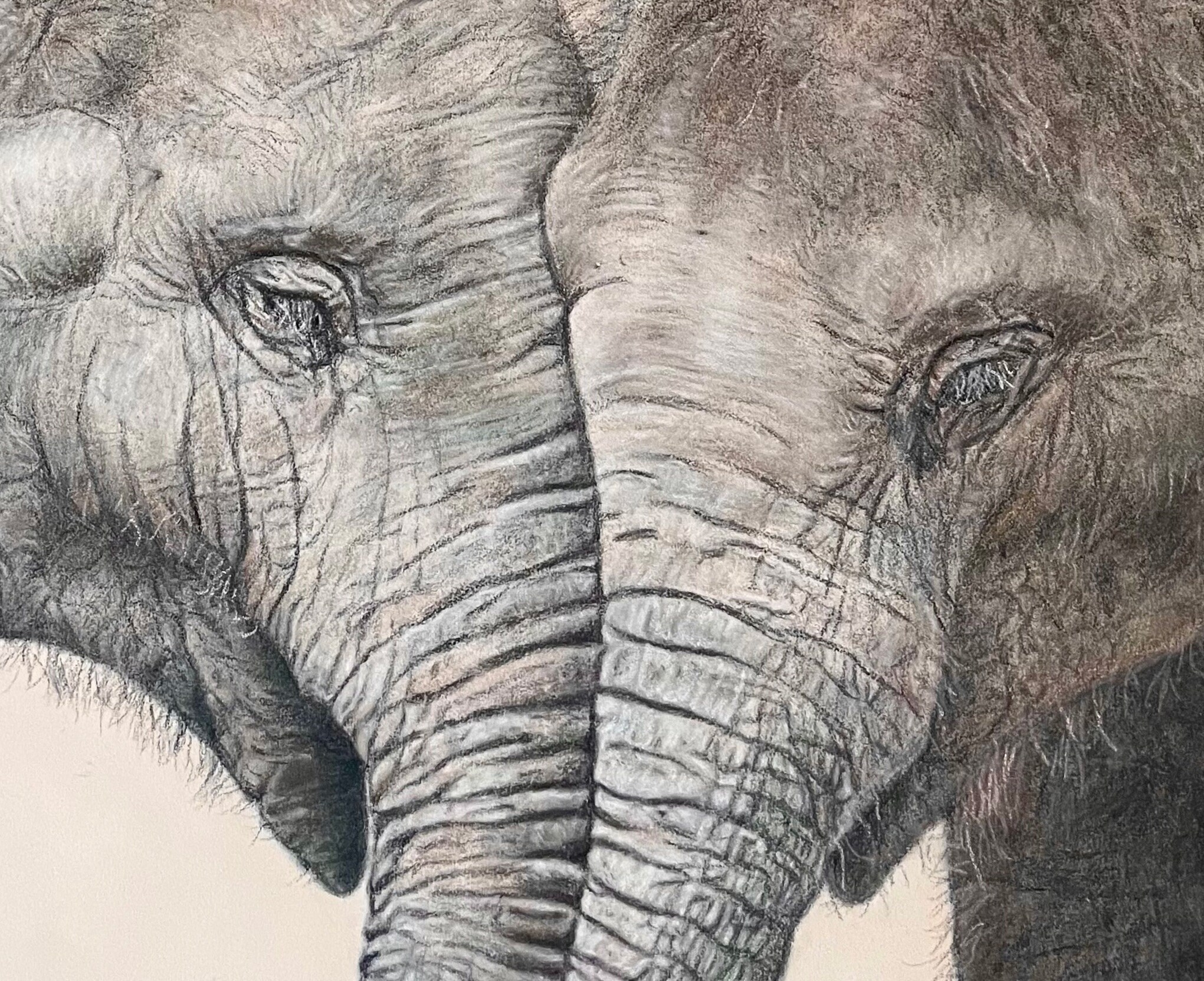 Baby Elephant Print Elephant Art Print Elephant Gifts - Etsy