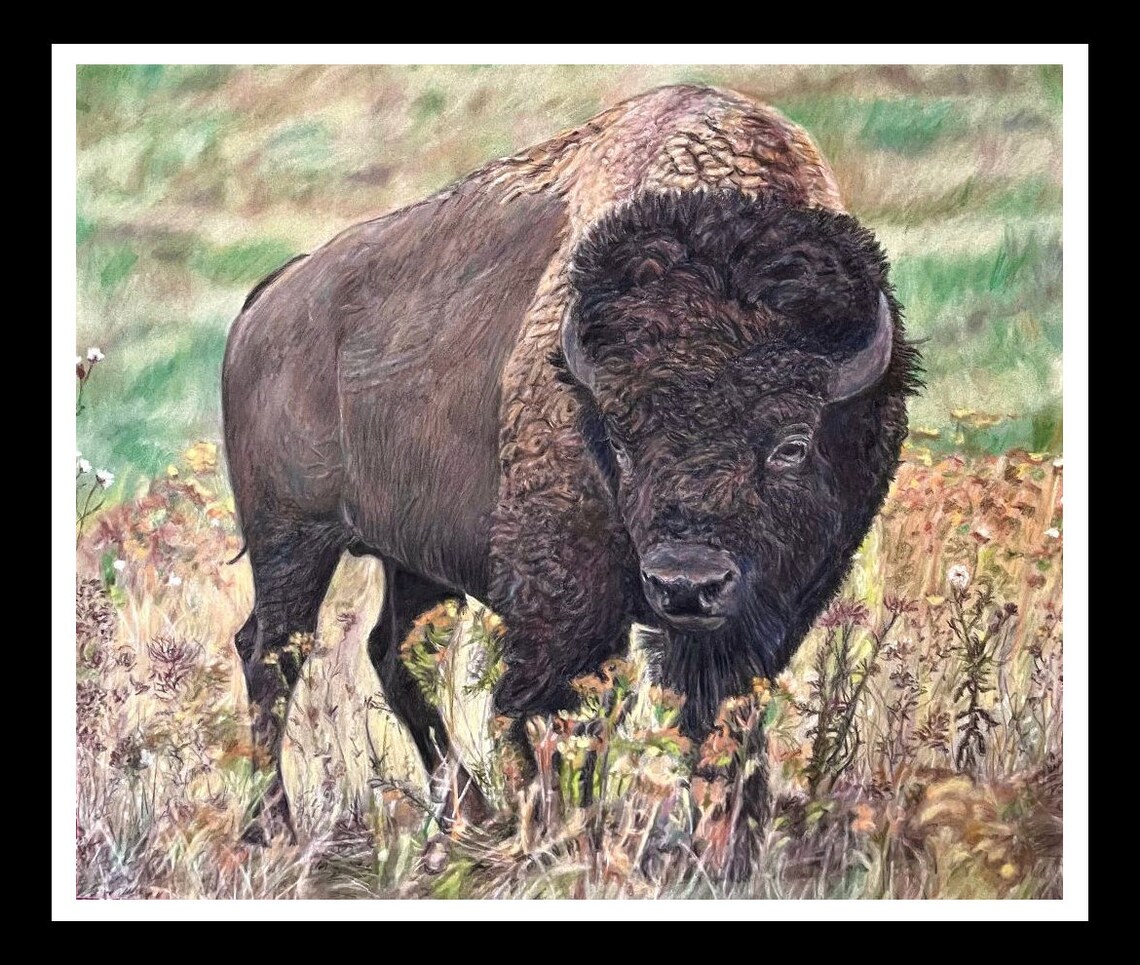 Bison Print Bison Art Print bison Art Bison Wall Art Bison Drawing ...