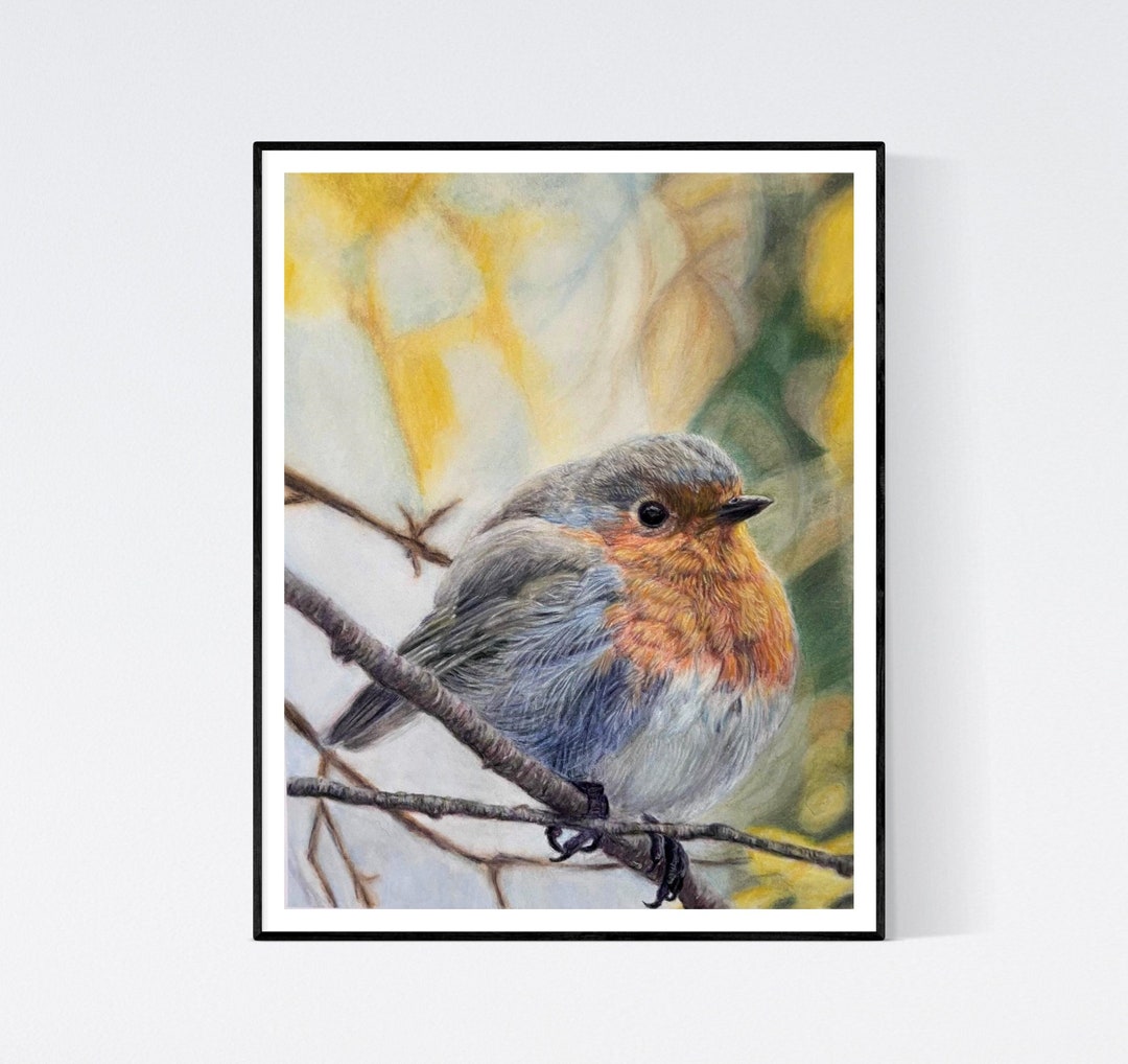 Robin Art Print - Red Robin Art - Robin Wall Art - Robin Artwork ...
