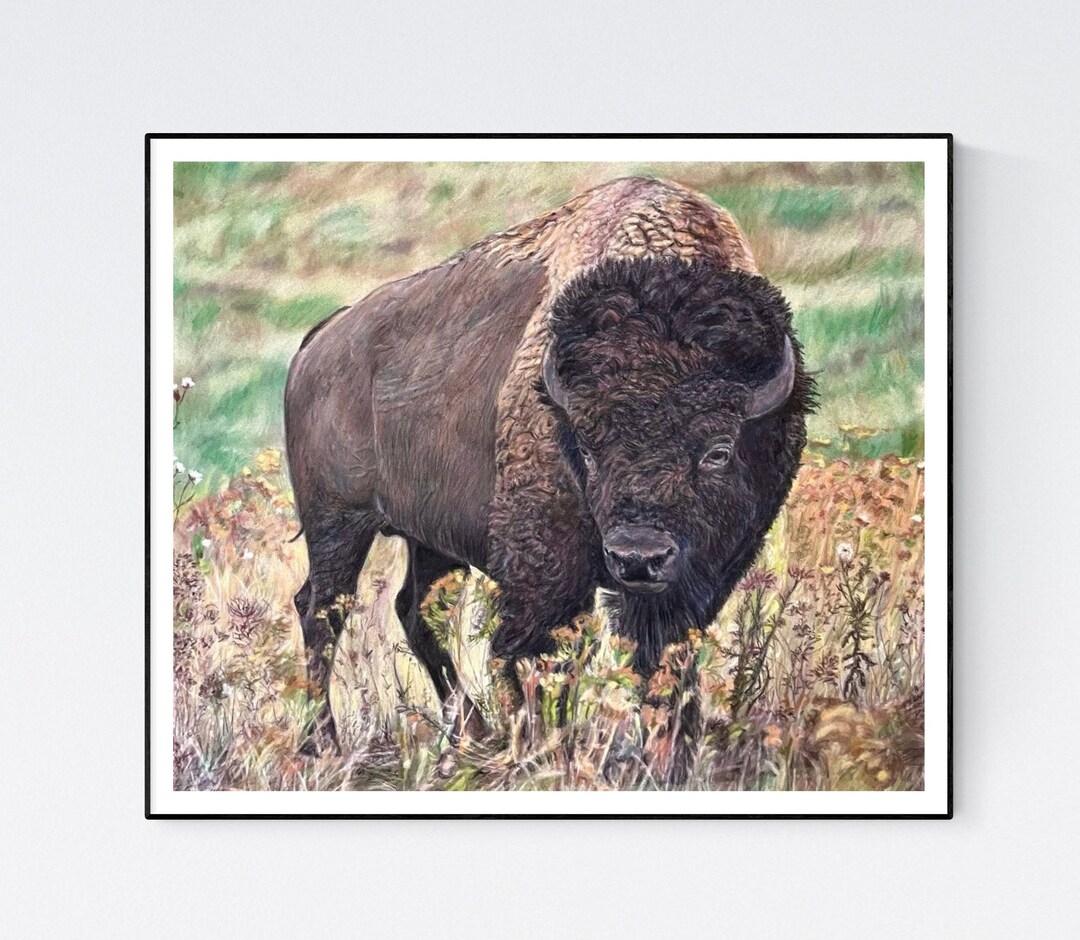 Bison Print Bison Art Print bison Art Bison Wall Art - Etsy