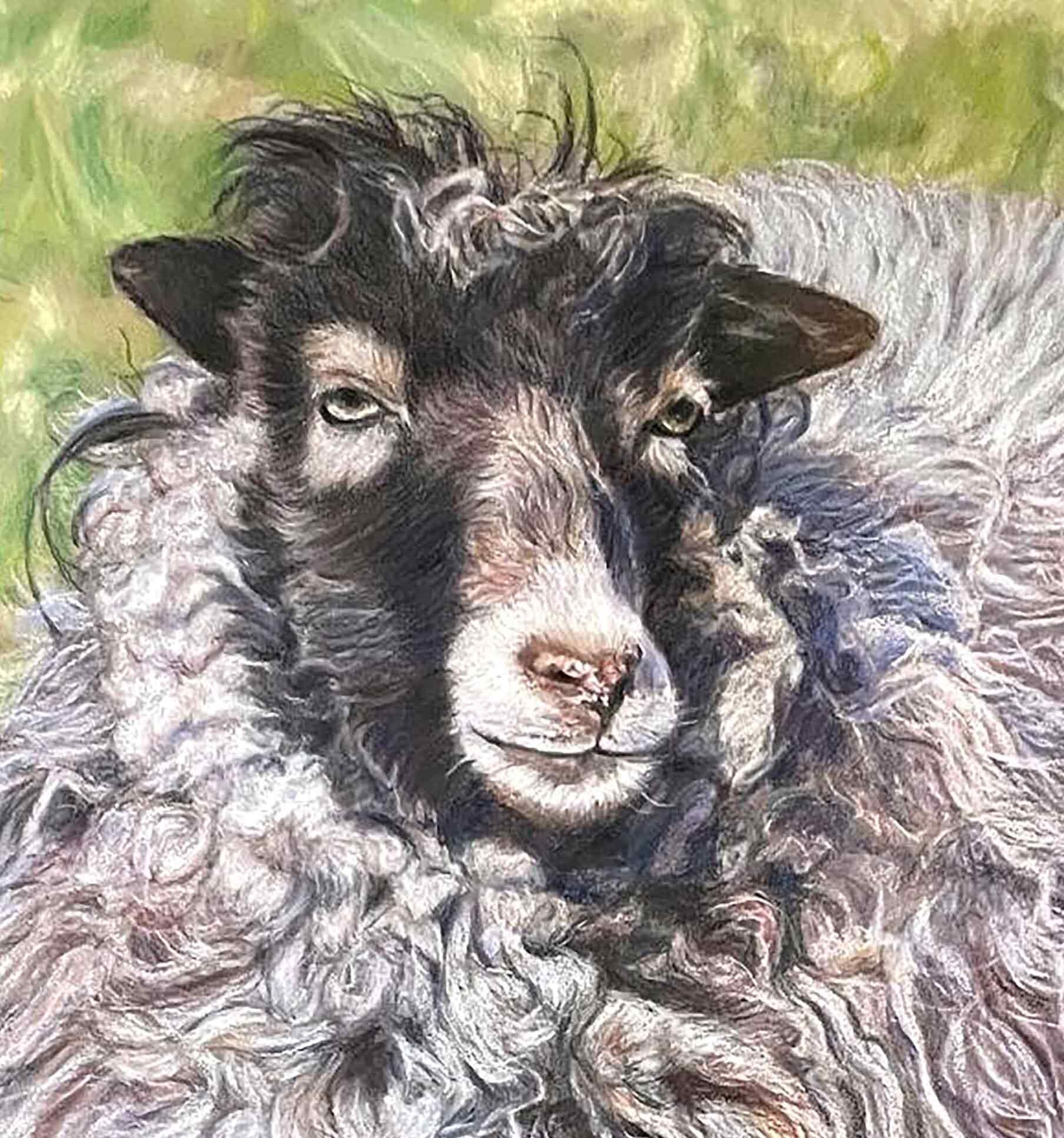 Sheep Art - Sheep Art Print - Sheep Wall Art - Farmhouse Art - Sheep ...