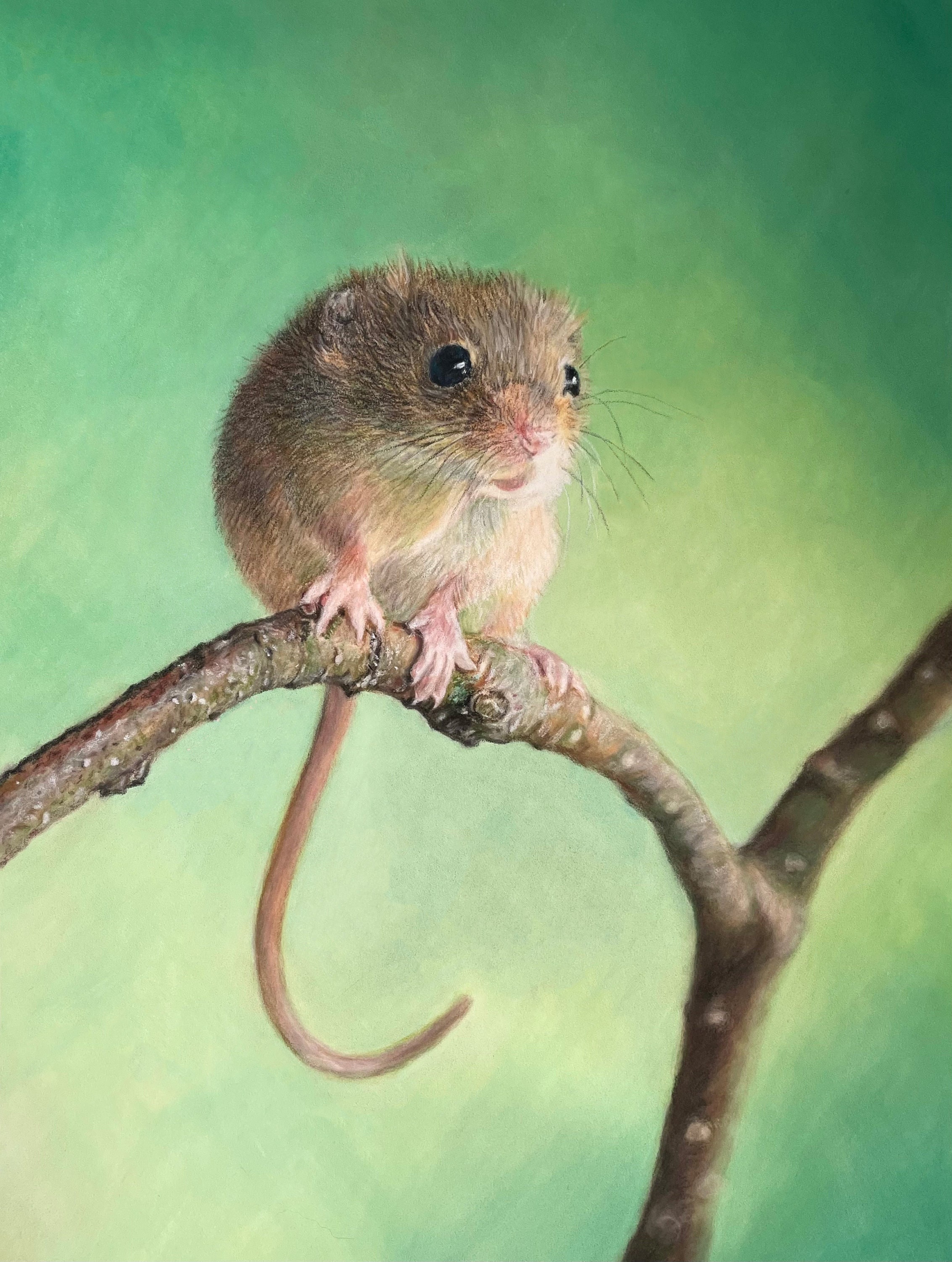 Mouse Art Print Mouse Gifts Mouse Picture Mouse Art Mouse Giclee Print ...