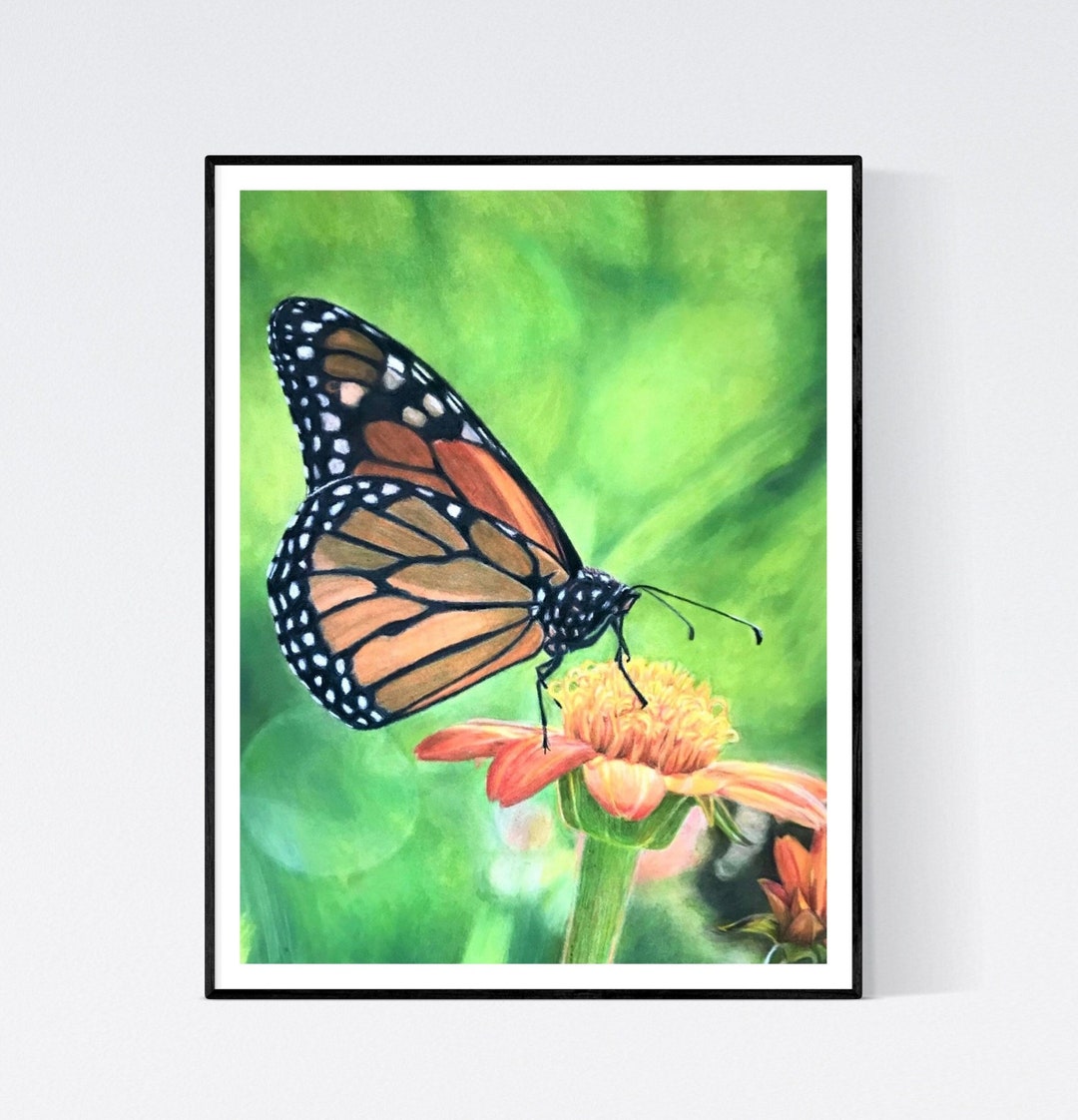 Monarch Butterfly Print - Butterfly Artwork - Butterfly Print ...