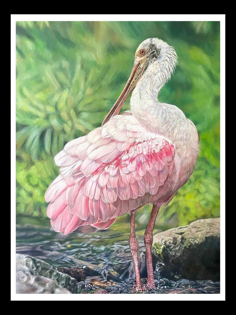 Spoonbill Art - Spoonbill Art Print - Spoonbill Decor - Pink Spoonbill ...