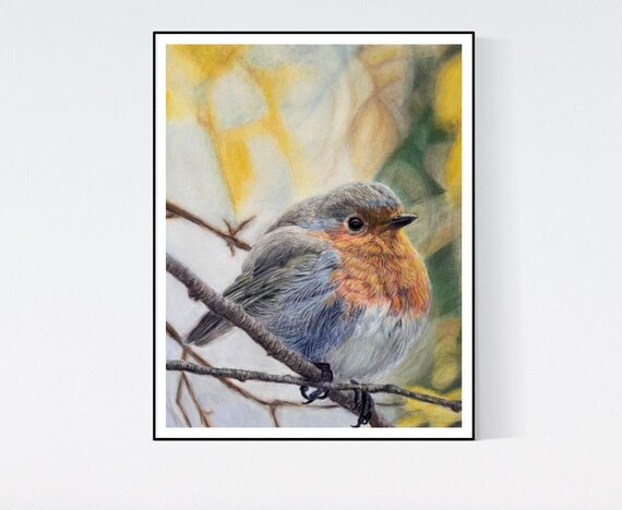 Robin Art Print Red Robin Art Robin Wall Art Robin - Etsy