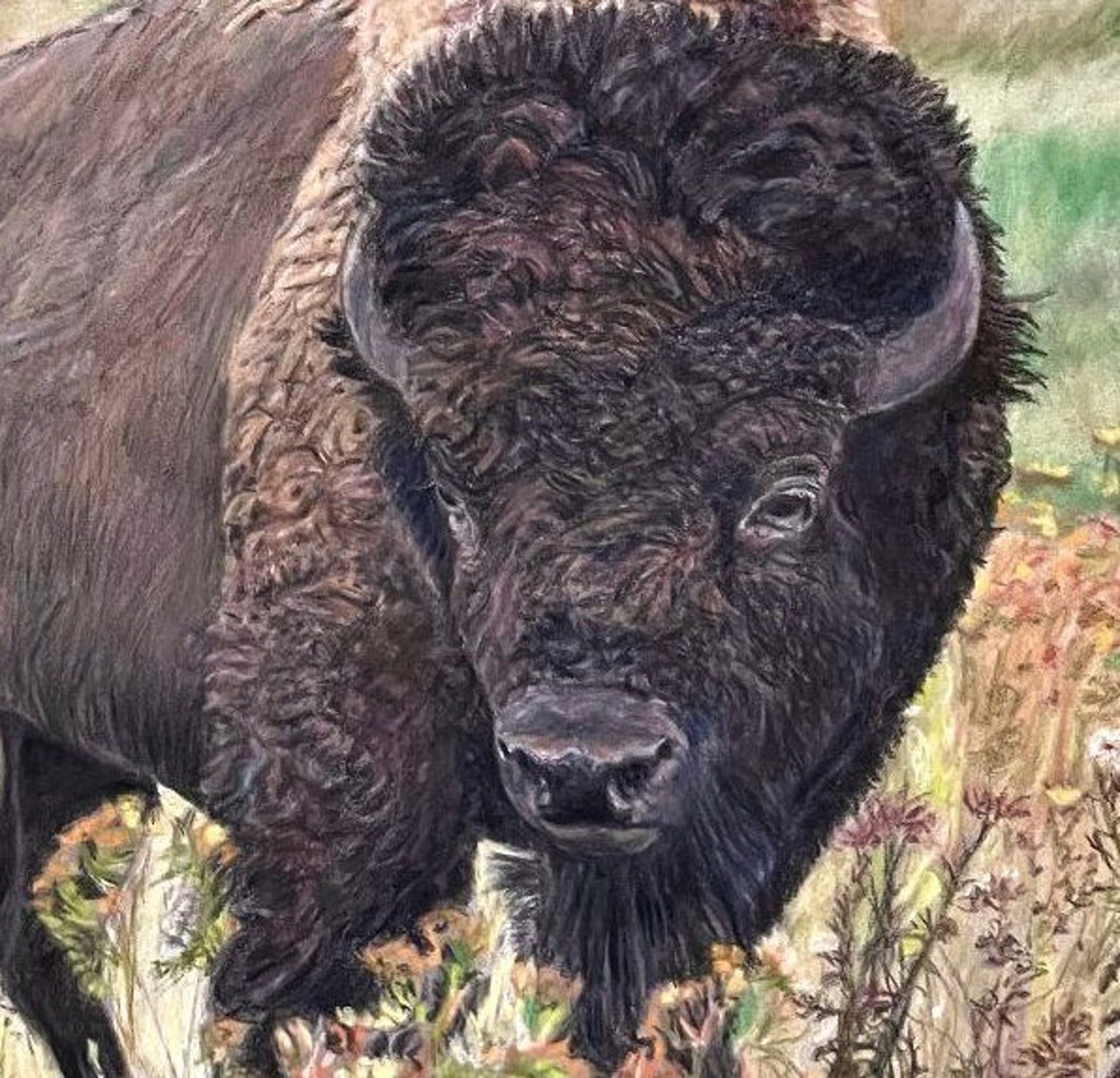 Bison Print - Bison Art Print -bison Art - Bison Wall Art - Bison ...