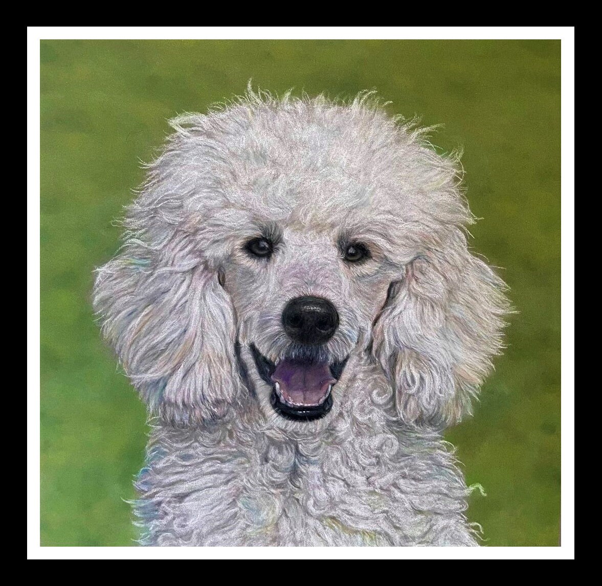 Poodle Print White Poodle Poodle Art Print Poodle Lover | Etsy