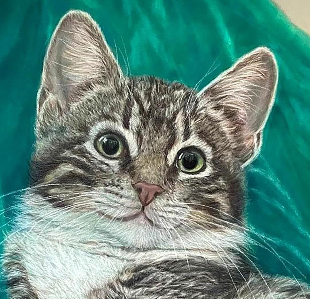 Tabby Cat Print Tabby Cat Art Tabby Cat Wall Decor Tabby Cat Wall Art ...