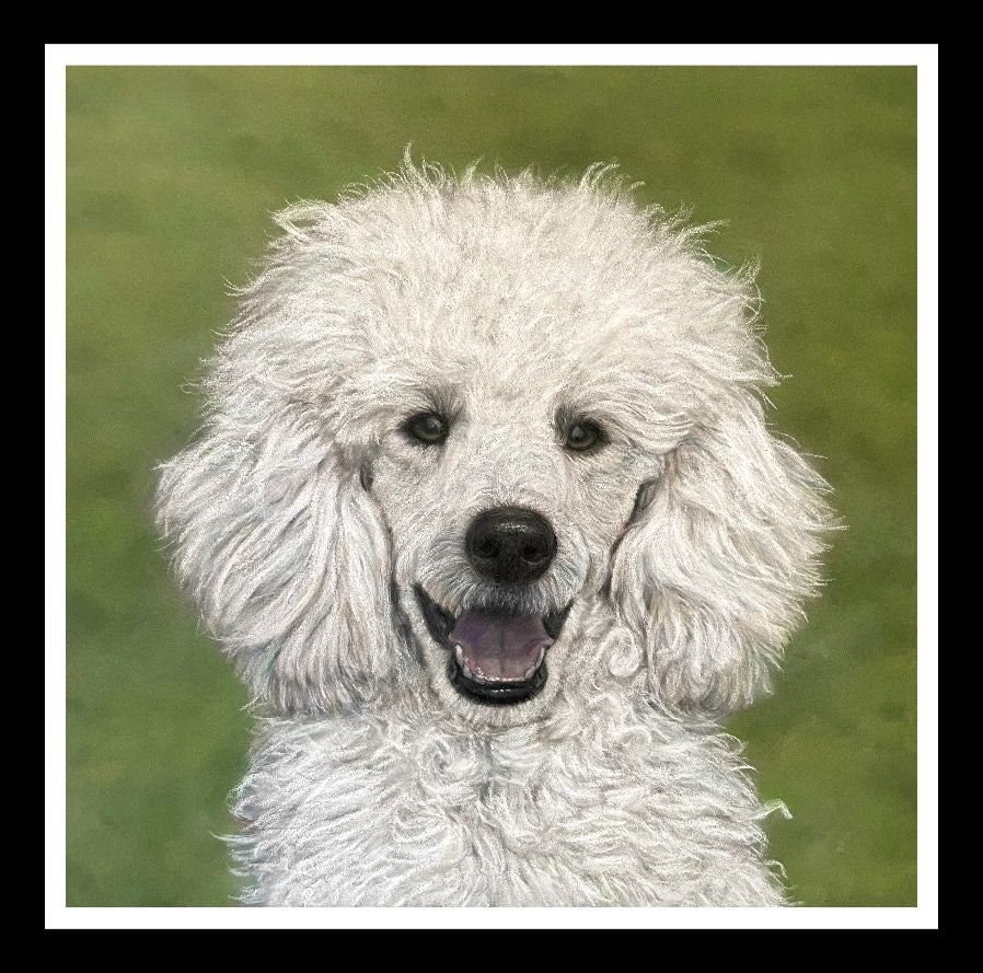 Poodle Print - White Poodle - Poodle Art Print - Poodle Gifts - Poodle ...