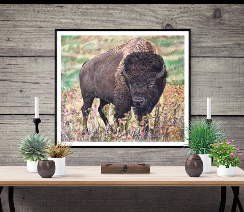 Bison Print - Bison Art Print -bison Art - Bison Wall Art - Bison ...