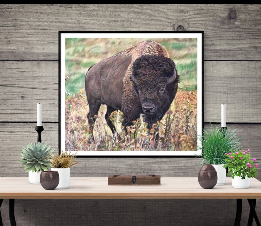 Bison Print Bison Art Print bison Art Bison Wall Art Bison Drawing ...
