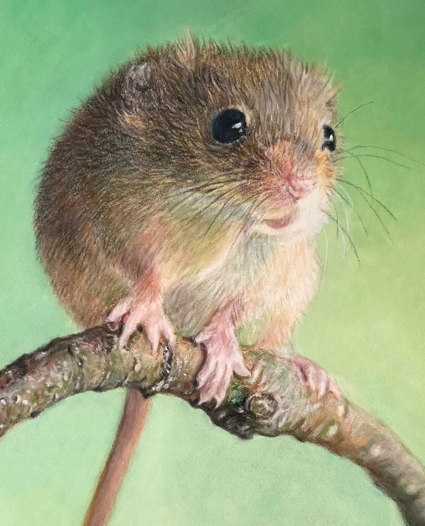 Mouse Art Print Mouse Gifts Mouse Picture Mouse Art Mouse Giclee Print ...