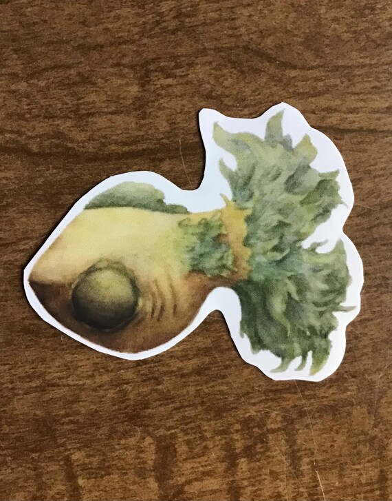 Green and Orange Fish Sticker - Etsy
