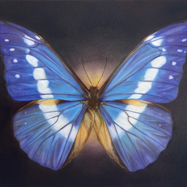 Morpho Helena - Etsy