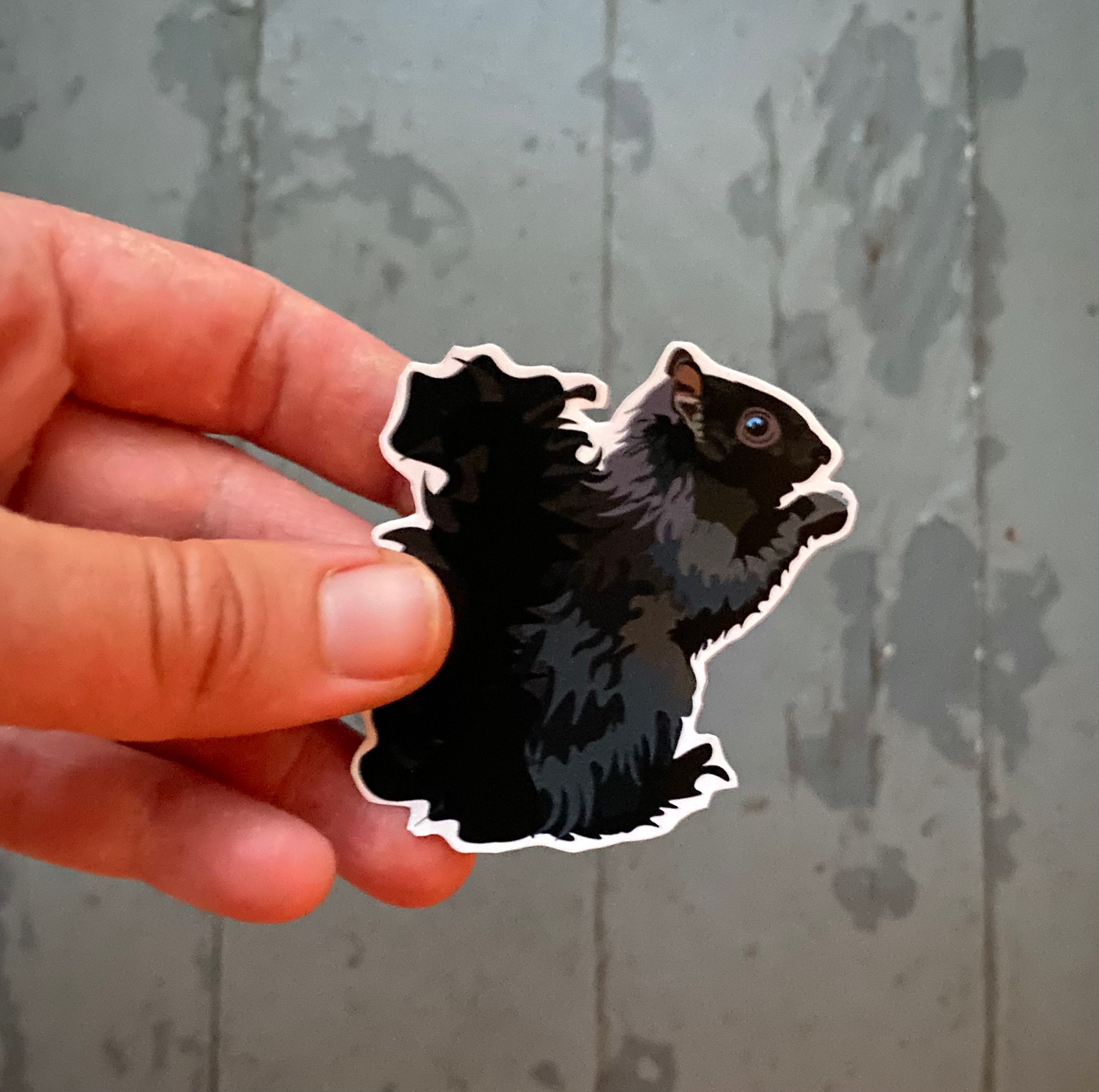 Black Squirrel Sticker - Etsy