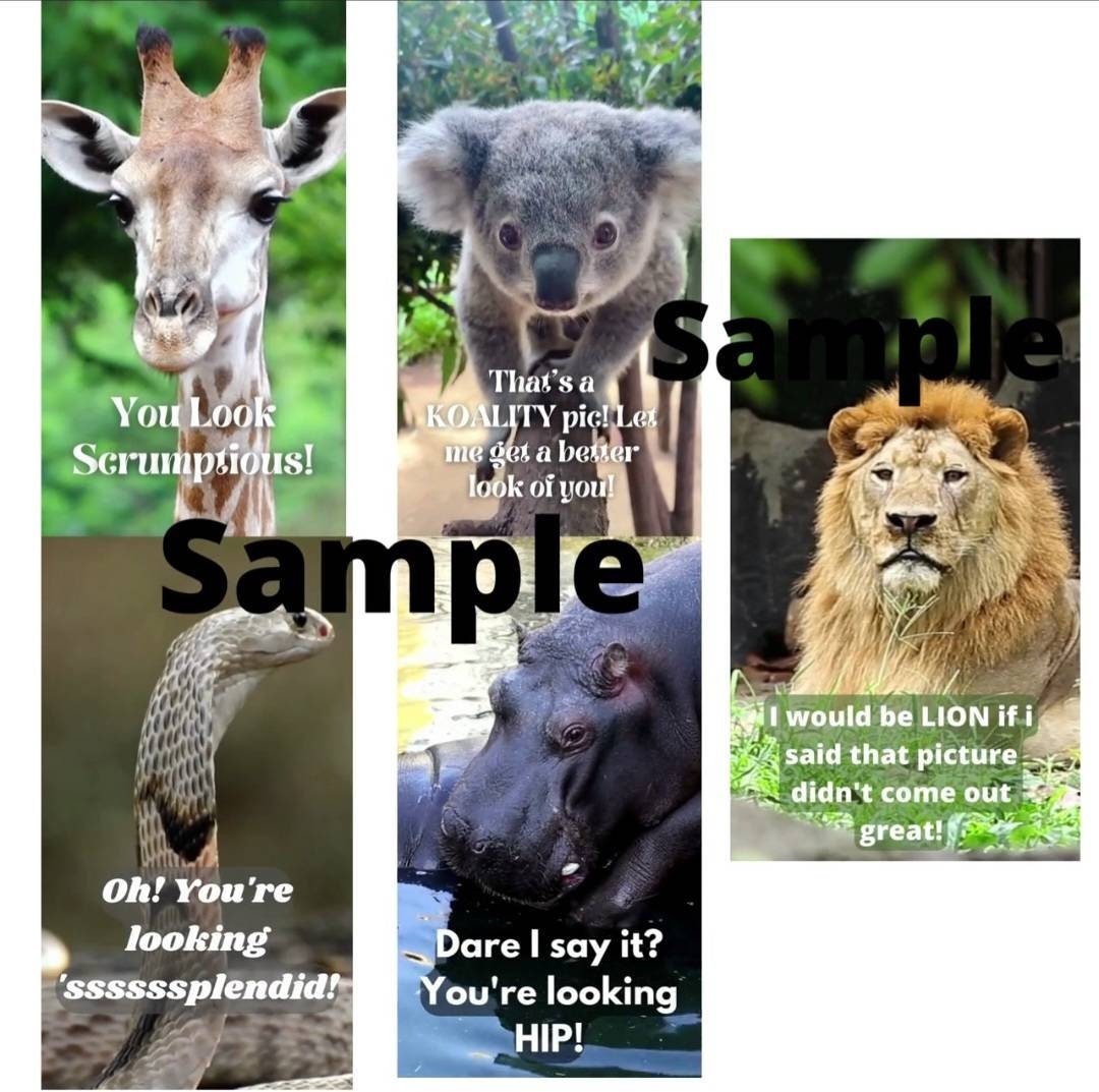Animals Theme Magic Mirror Animation for Photo Booth /start Screen and ...