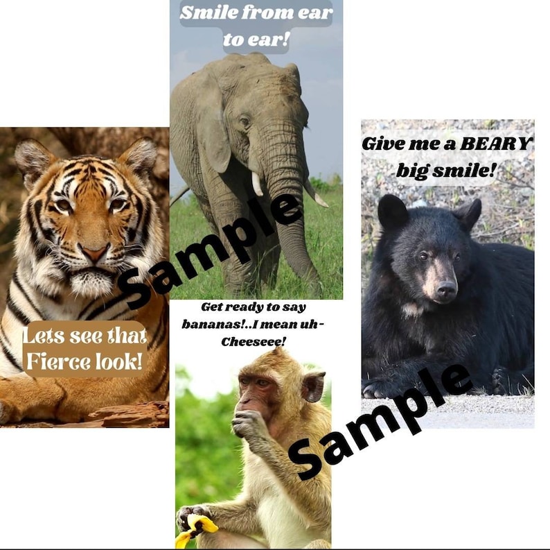 Animals Theme Magic Mirror Animation for Photo Booth /start Screen and ...
