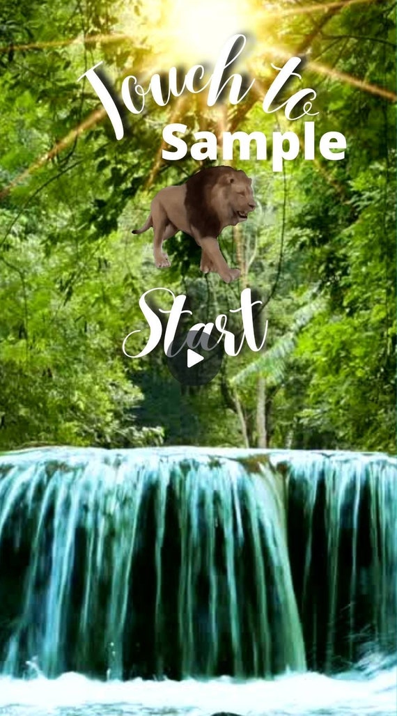 Animals Theme Magic Mirror Animation for Photo Booth /start - Etsy