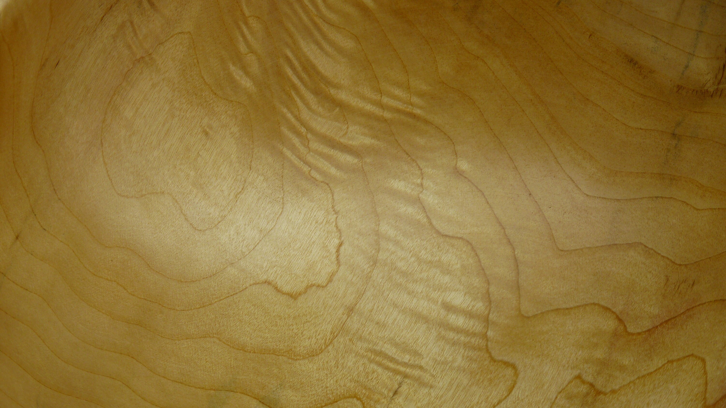 Hand-turned Rustic Elm Burl Wooden Bowl Unique Home Decor, 10 3/4 ...