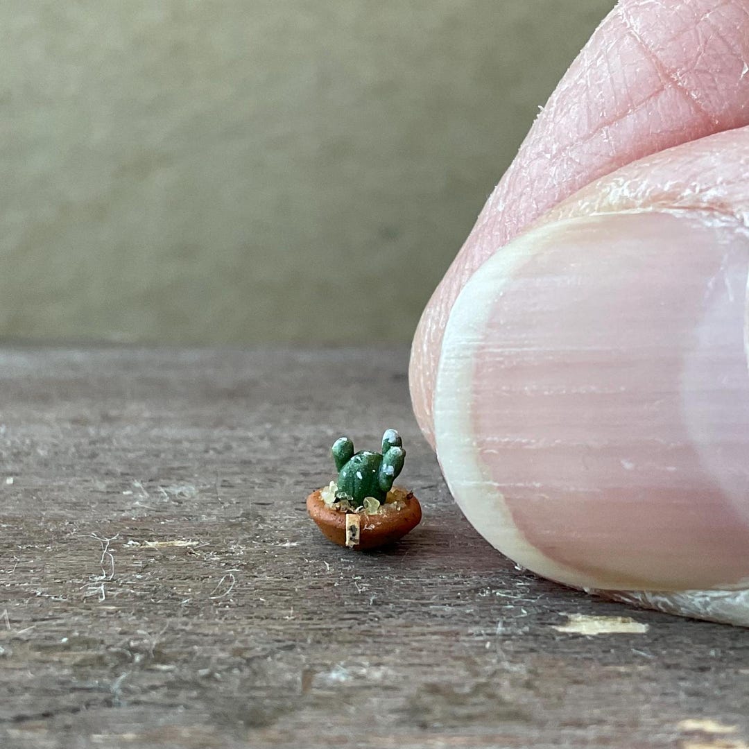 1:12 Scale (and Smaller Scales) Abandoned Greenhouse Cacti- C.6 Very ...
