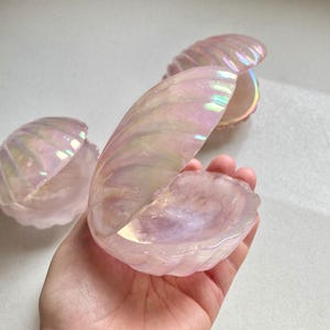 Angel Aura Rose Quartz Shell Decor Large 3D Shell Carving, Accessory ...