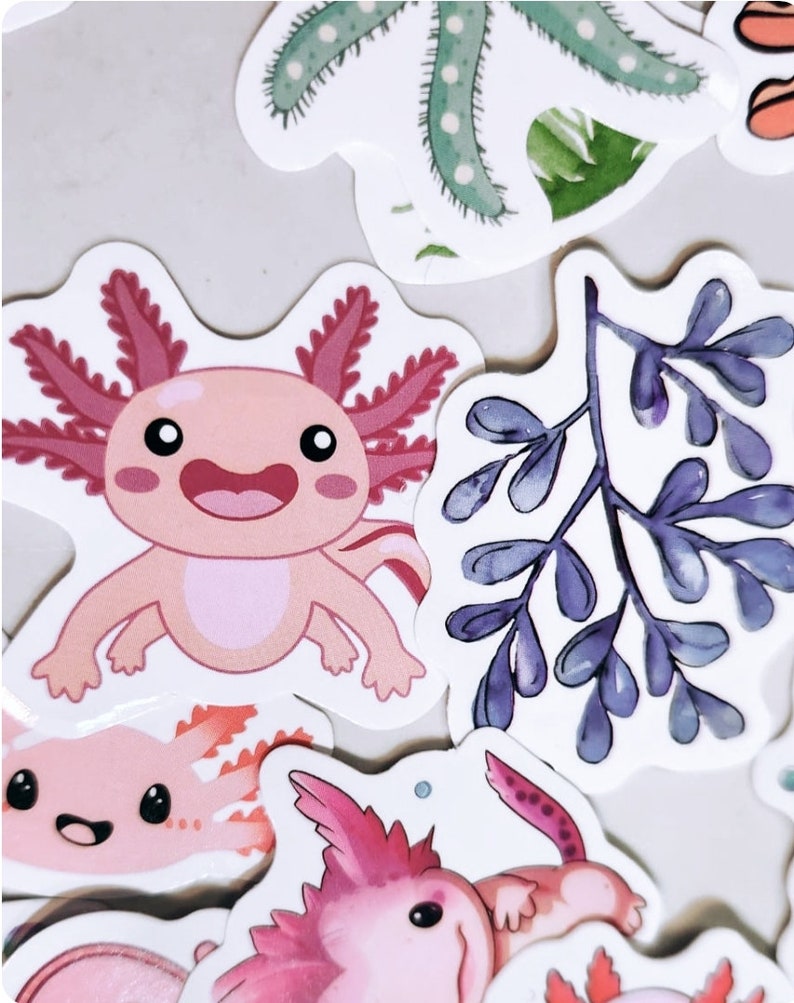 Axolotl Stickers, Axolotl, Waterproof Stickers, Waterbottle Stickers ...