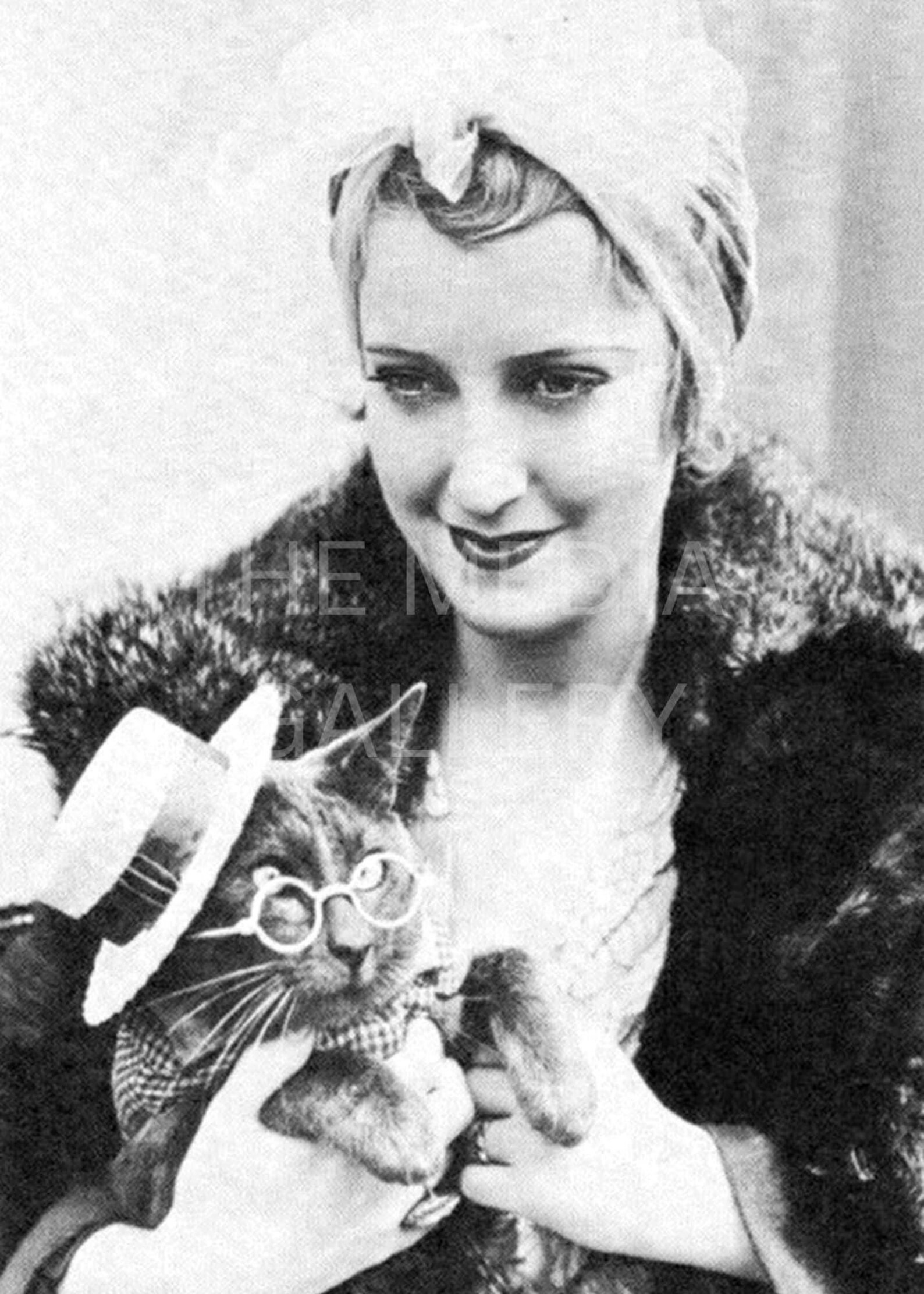 Jeannette Macdonald & Puzzums, 1930s Photo Print - Cute Cat Photo - Cat ...