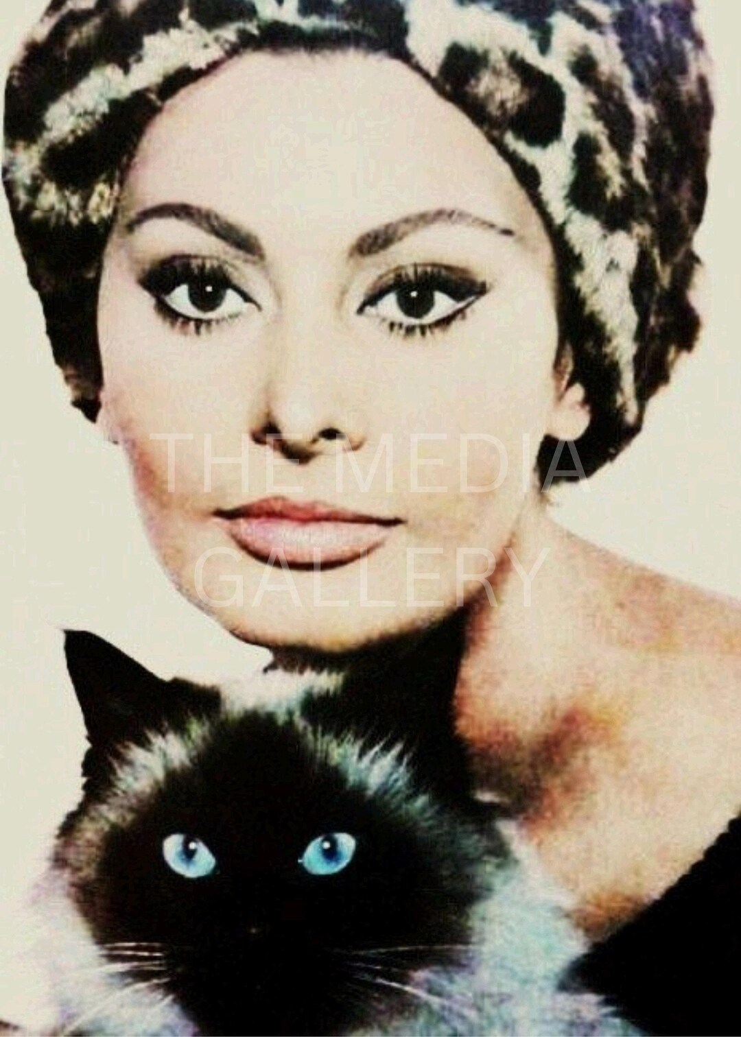 Sophia Loren & Cat Photo Print – Vintage Hollywood Glamour Wall Art - Etsy