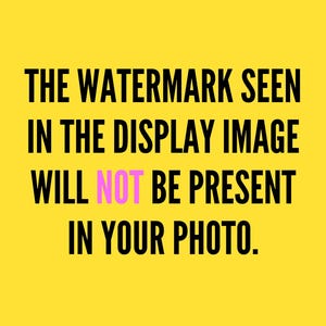 Niki Lauda in Mask Photo Print - F1 Racing Legend Wall Art - Formula ...