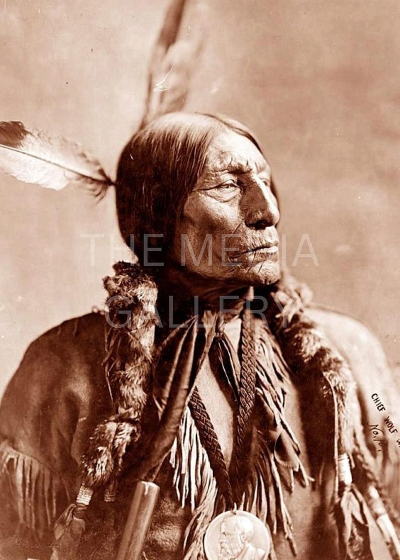 Wolf Robe, Cheyenne Chief Photo Print Wall Art - Indian Chief - Native ...