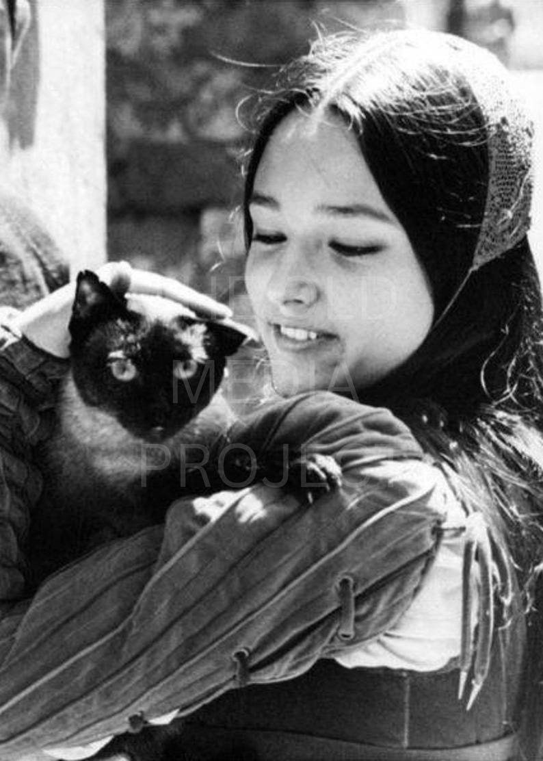 Olivia Hussey as Juliet Hugging Cat Photo Print - Beautiful Classic ...