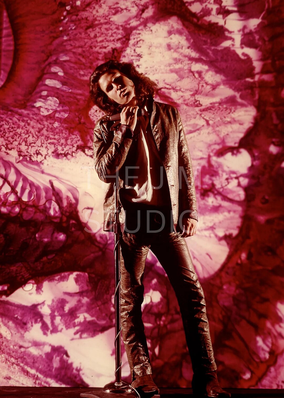 Jim Morrison Psychedelic Photo Print the Doors Music Art Memorabilia 1960's Psychedelic Rock ...