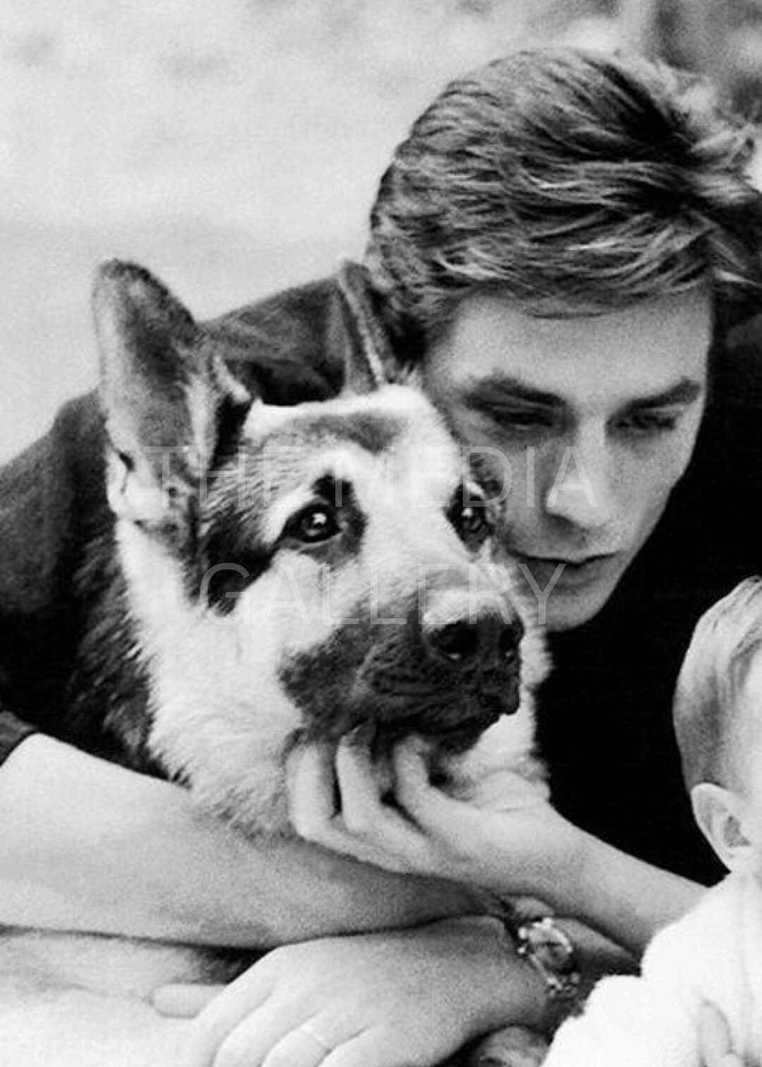 Alain Delon & Dog Photo Print – French Cinema, Retro Wall Art - Etsy