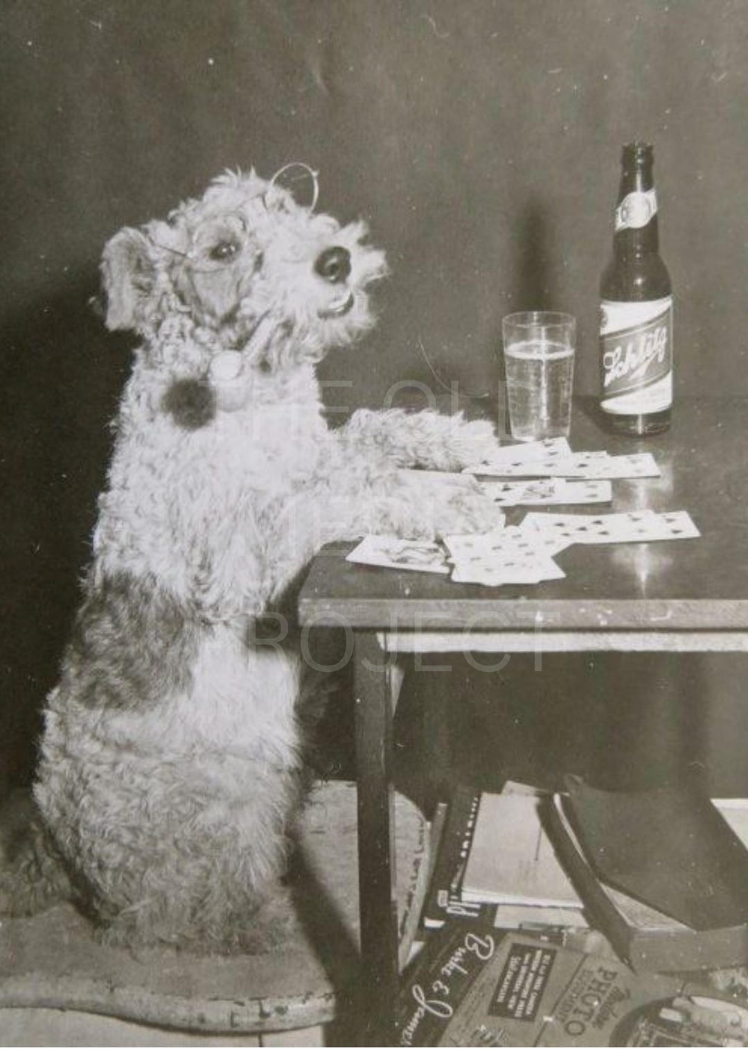 Skippy the Dog, 1930s Photo Print - Vintage Retro Funny Dog Photo - Etsy