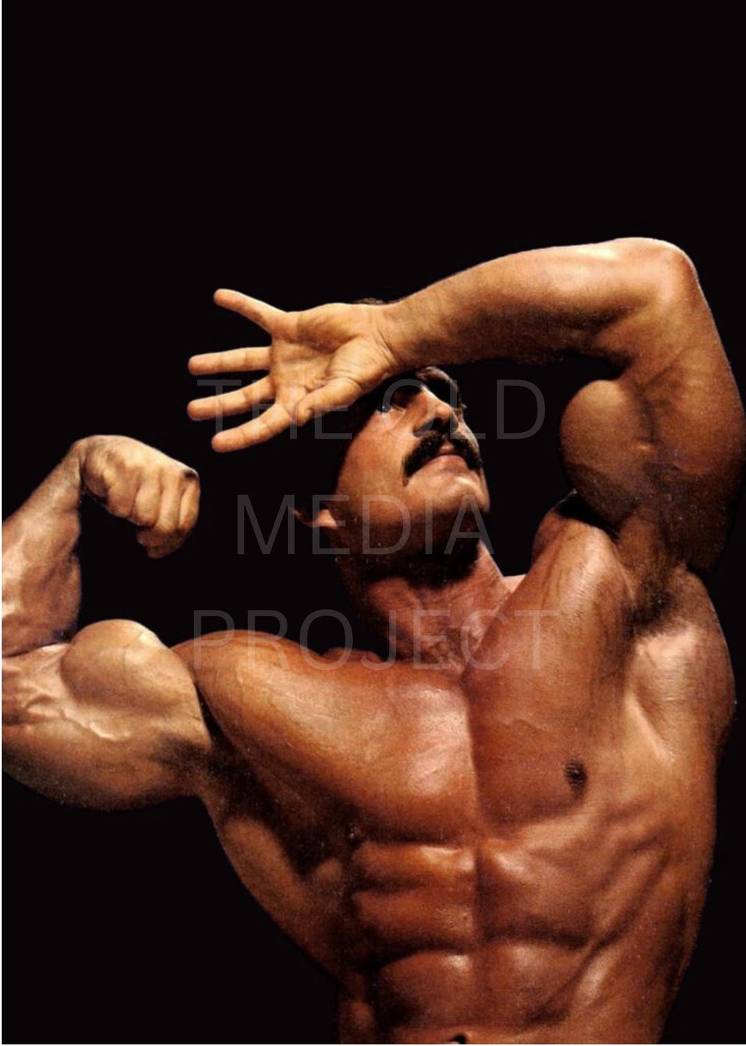 Mike Mentzer, Epic Body Pose Photo Print - Vintage Bodybuilding ...