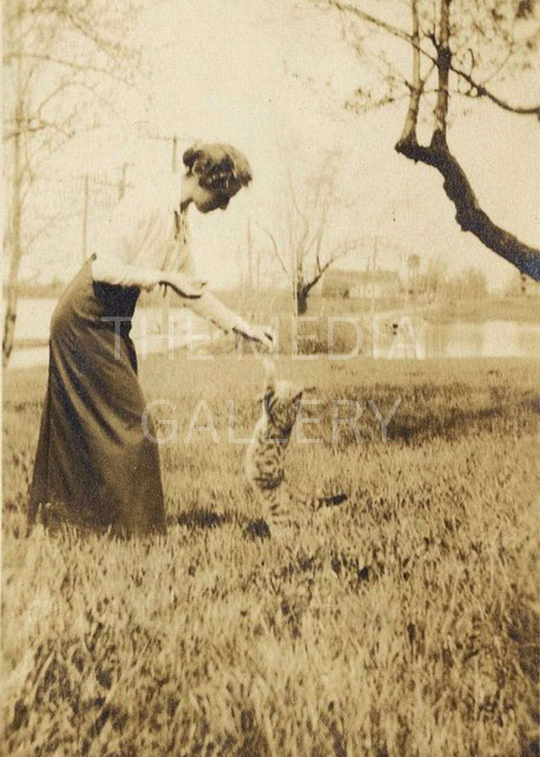 Emma & Jumbo Photo Print Wall Art - Cute Cat Photo - Antique Cat Photo ...