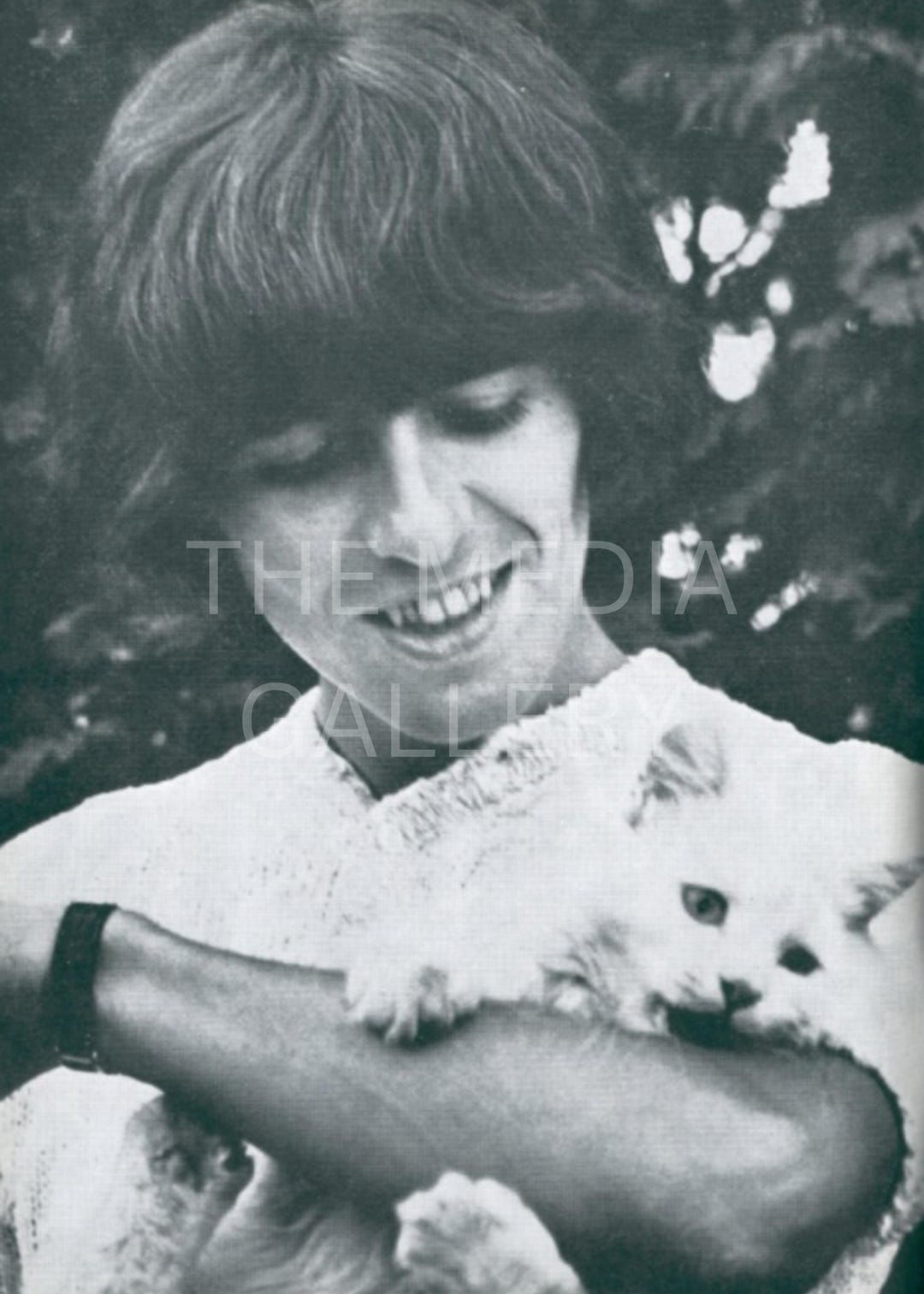 George Harrison & Cat Photo Print - Cat at Photo Print - the Beatles ...