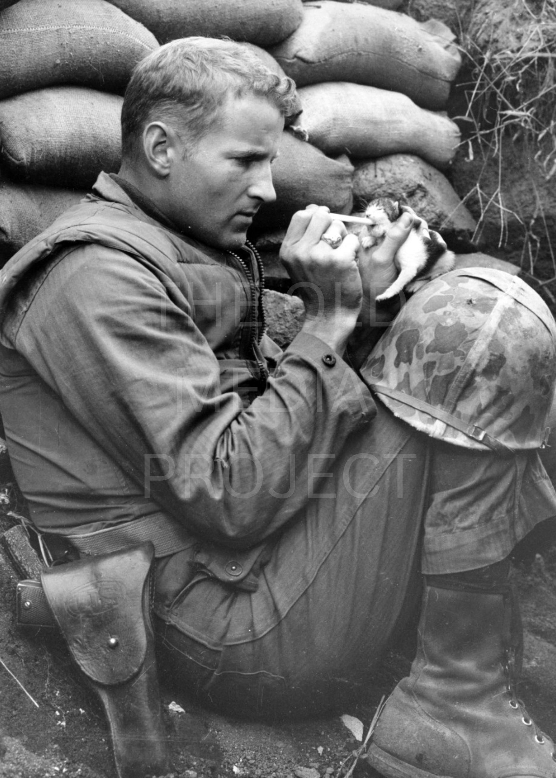 Korean War Marine Feeding Kitten Photo Print - War Photo - Military ...